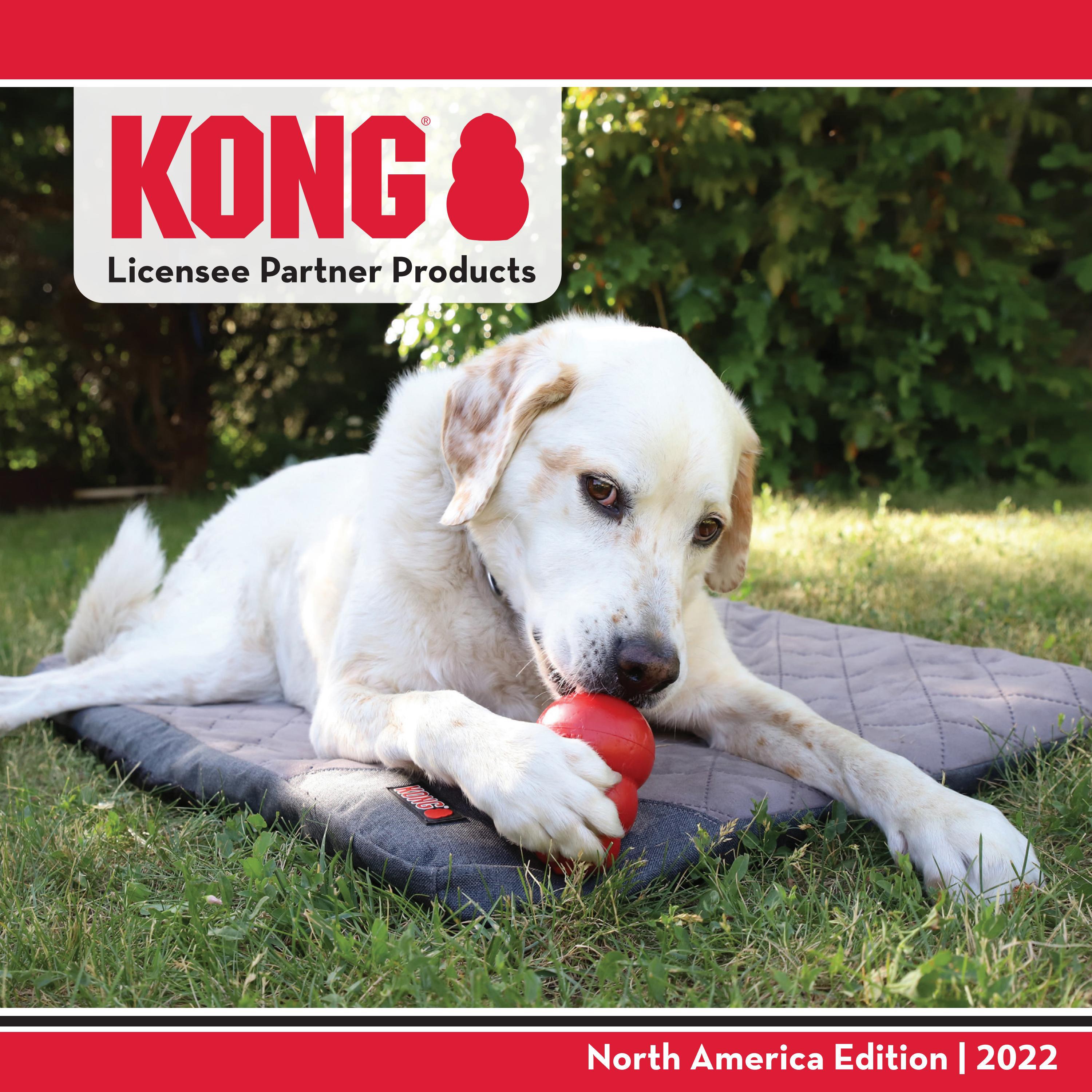 KONG Licensee Partner Products | North America Edition 2022 by KONG ...
