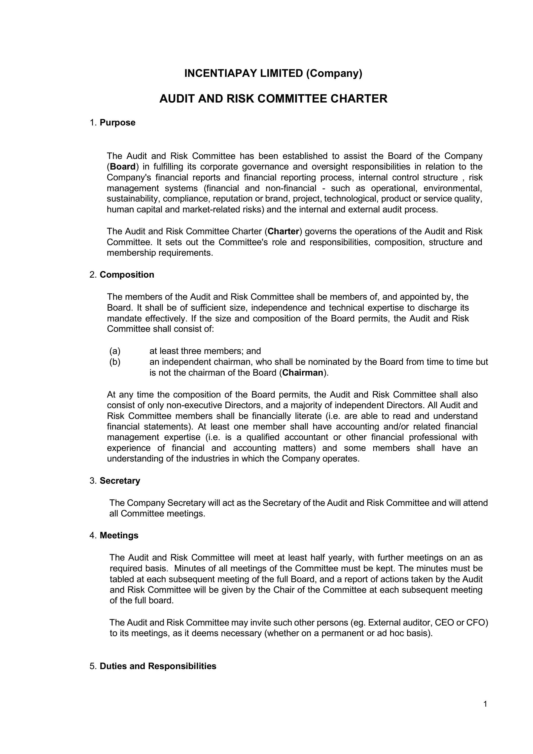 INP Audit & Risk Charter by IncentiaPay Limited - Issuu
