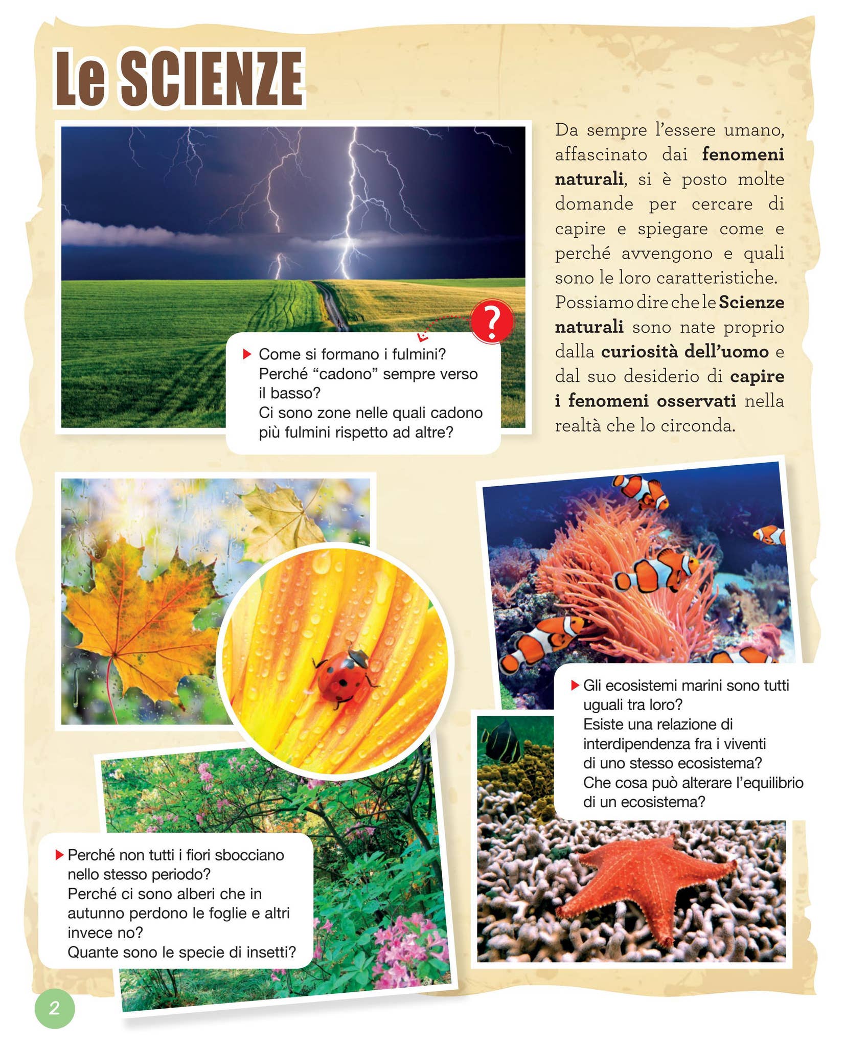 Mondo 2030 - Classe 4a - Scienze e Tecnologia by ELI Publishing - Issuu