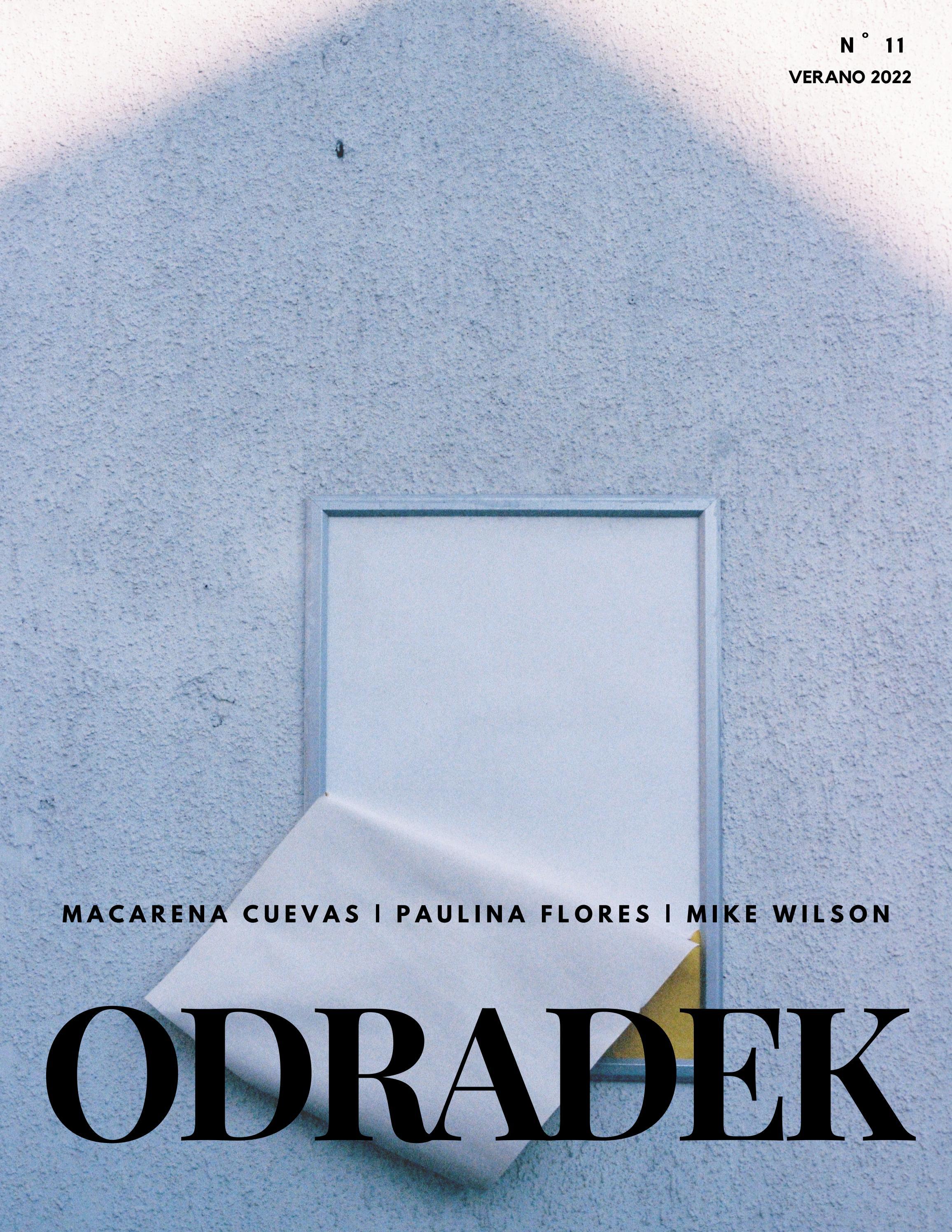 Revista Odradek N.11 by Odradek Editorial - Issuu
