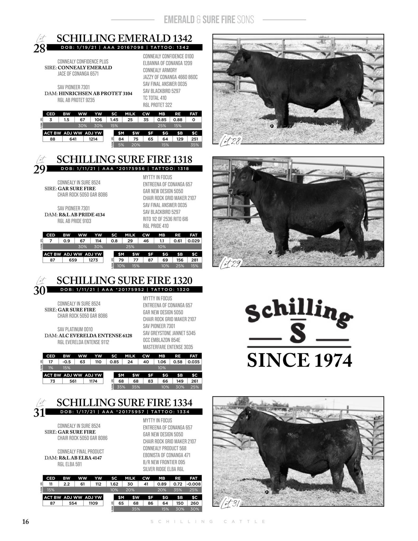 Schilling Cattle 6th Annual Production Sale by Melissa Grimmel Schaake ...
