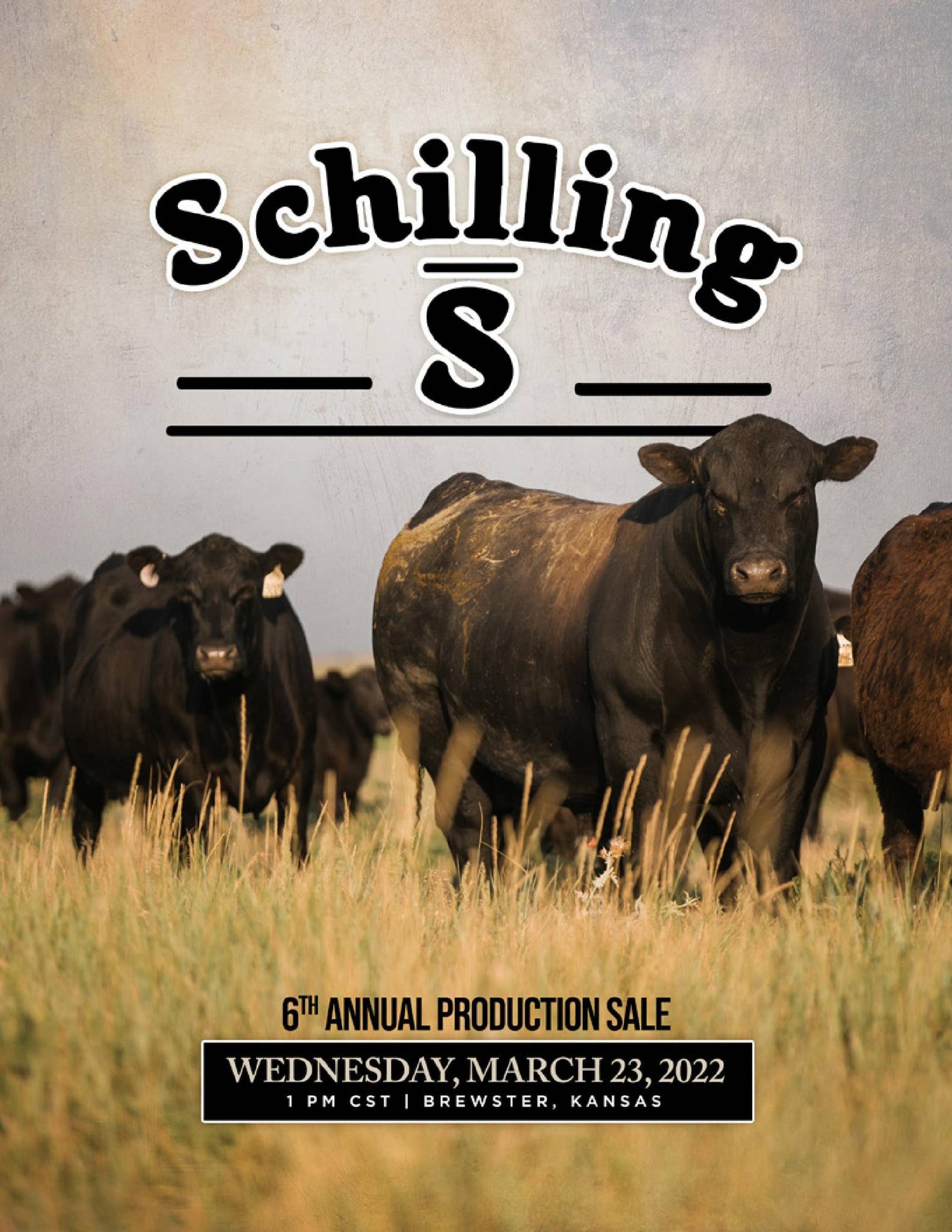 Schilling Cattle 6th Annual Production Sale by Melissa Grimmel Schaake ...