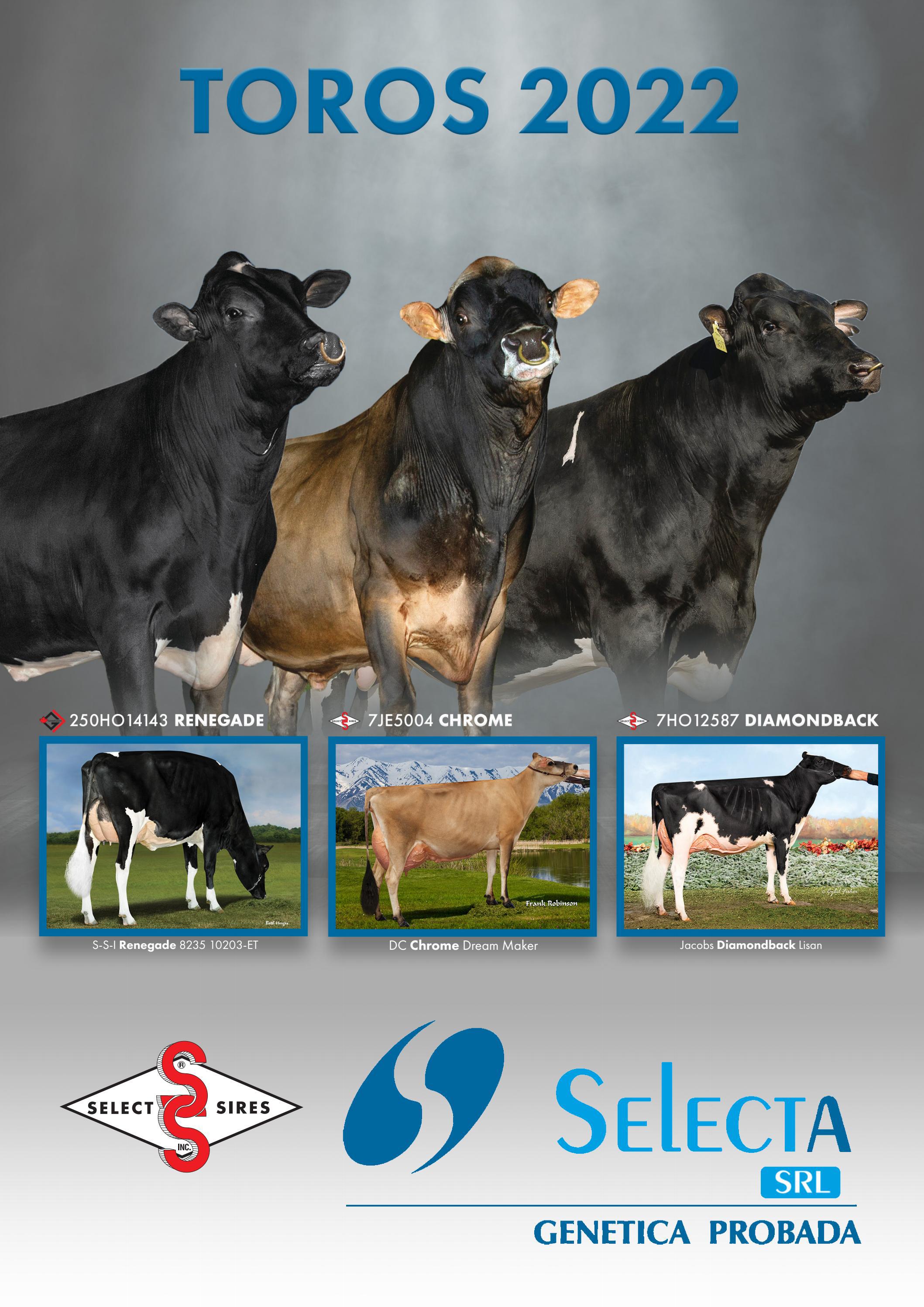 Cat logo Leche Selecta 2022 By Selecta SRL Issuu