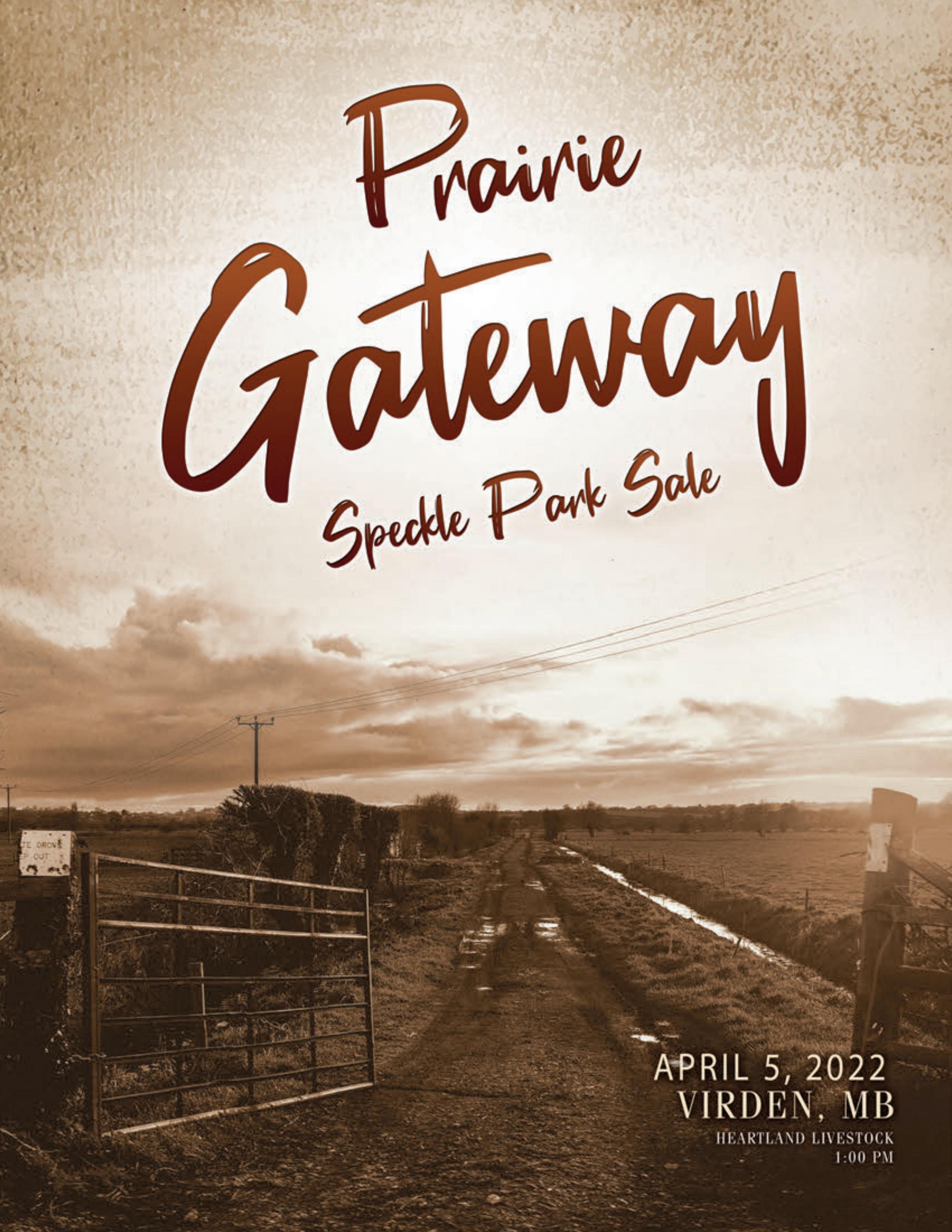 Prairie Gateway Speckle Park Sale by Today's Publishing Inc. - Issuu