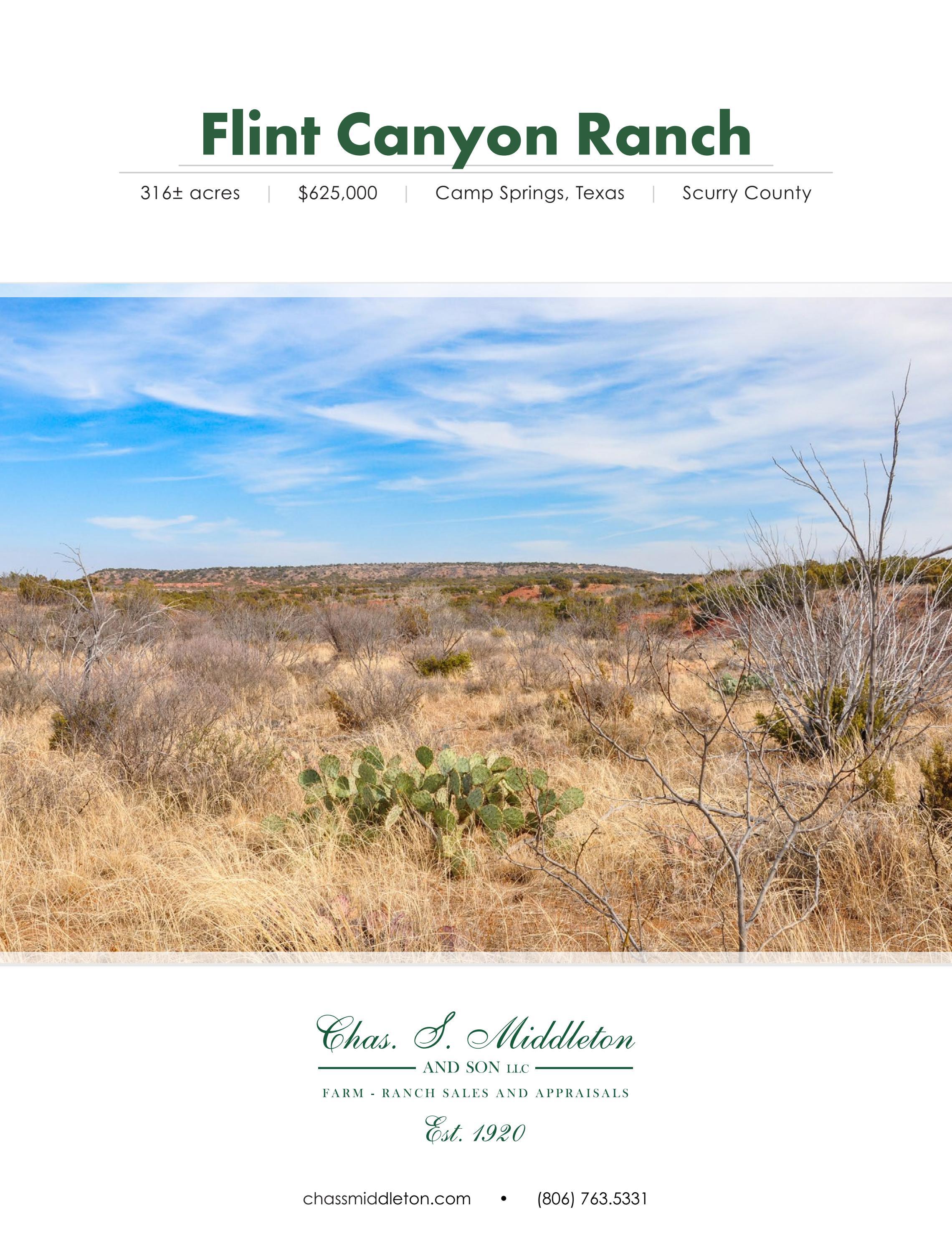 Flint Canyon Ranch by csmandson - Issuu