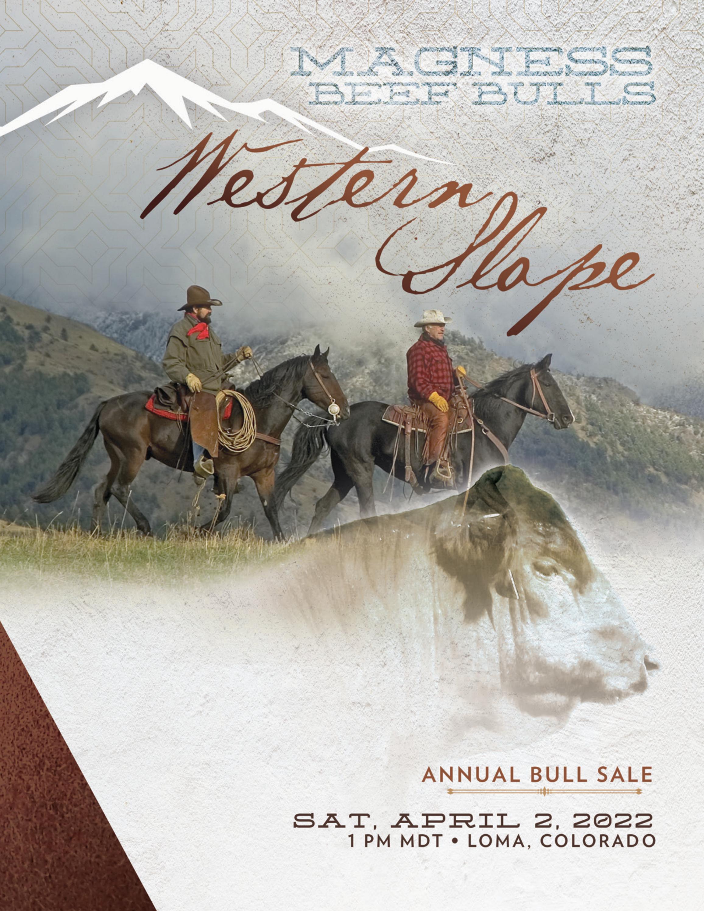 Magness Land & Cattle Annual Bull Sale by Monti West Design - Issuu