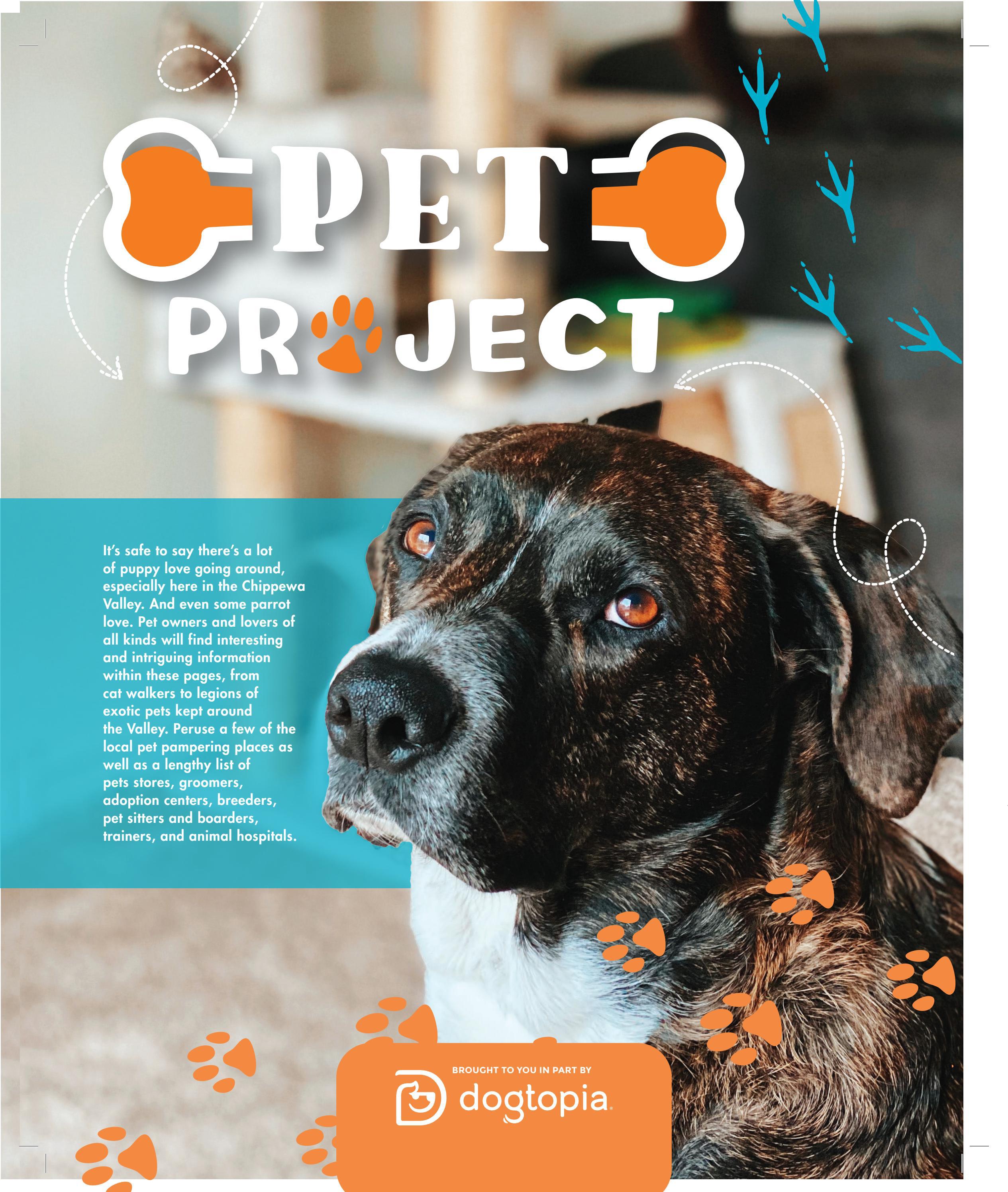 Pet Project 2021 By Volume One Magazine Issuu Pet Project 2021 By Volume One Magazine Issuu
