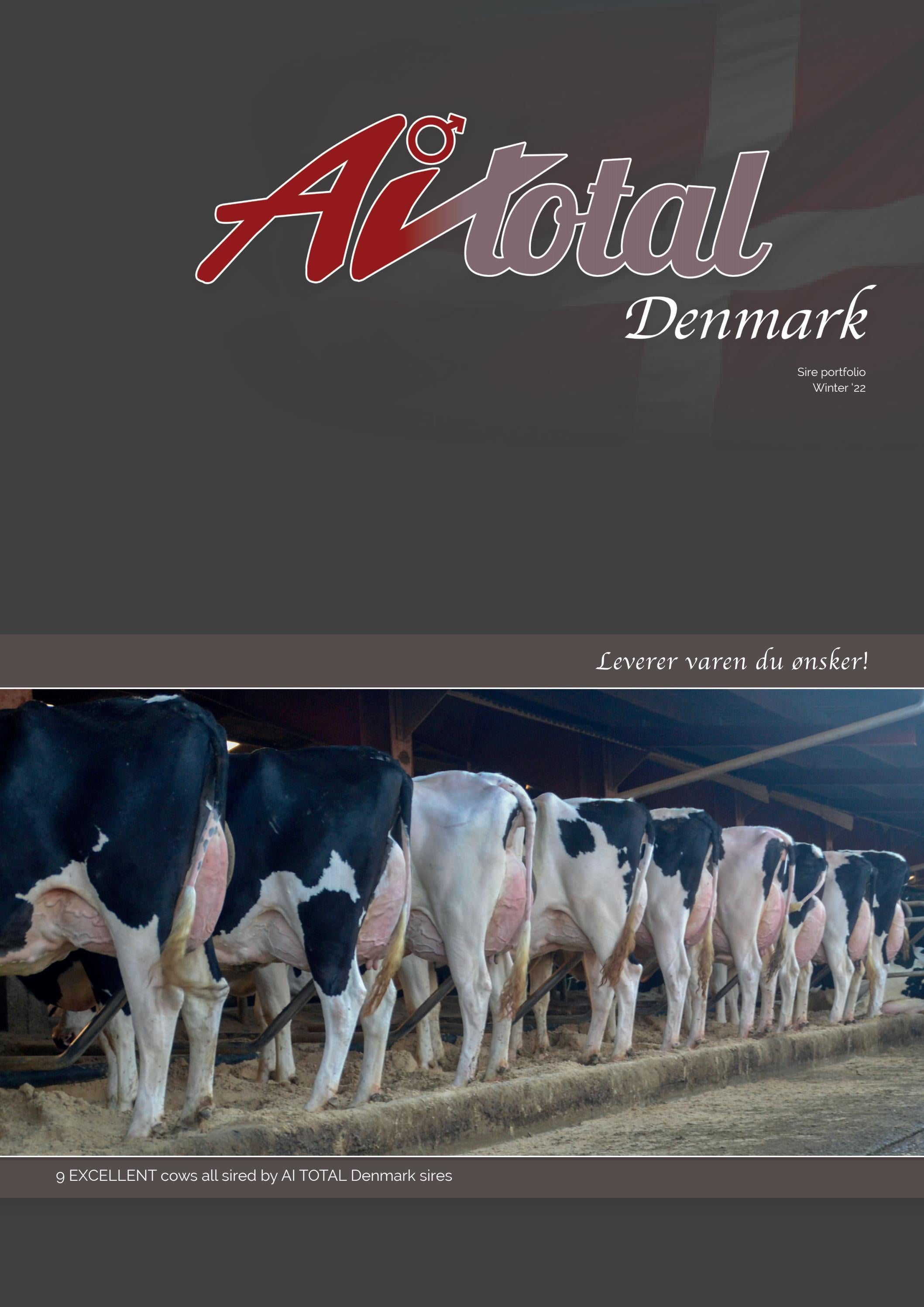 AI Total Denmark catalogue Winter '22 by AI Total B.V. - Issuu