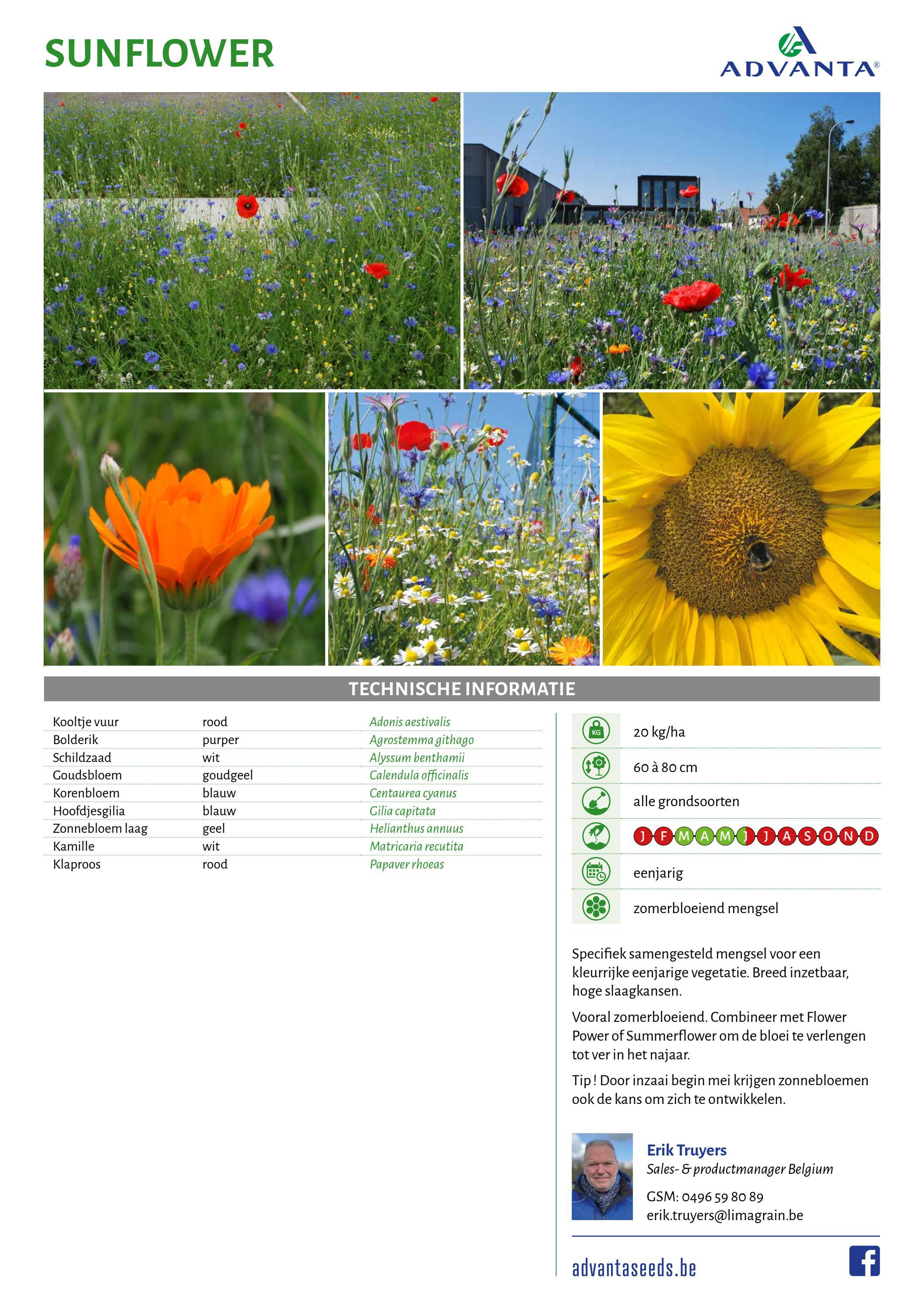 Advanta Sunflower by LG Seeds Belgium - Issuu