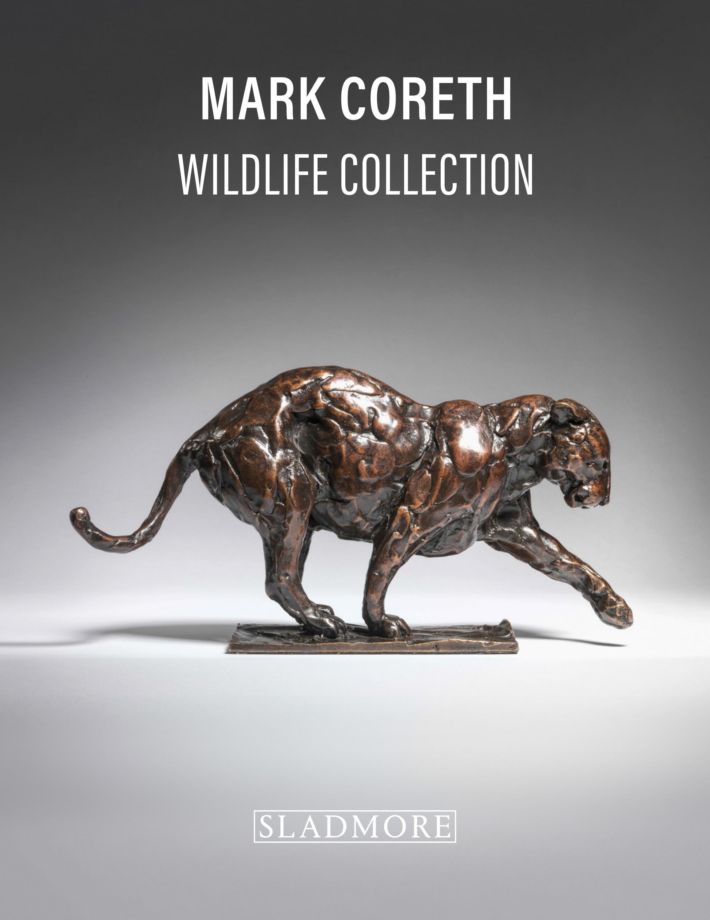 Mark Coreth | Wildlife Collection by Sladmore - Issuu