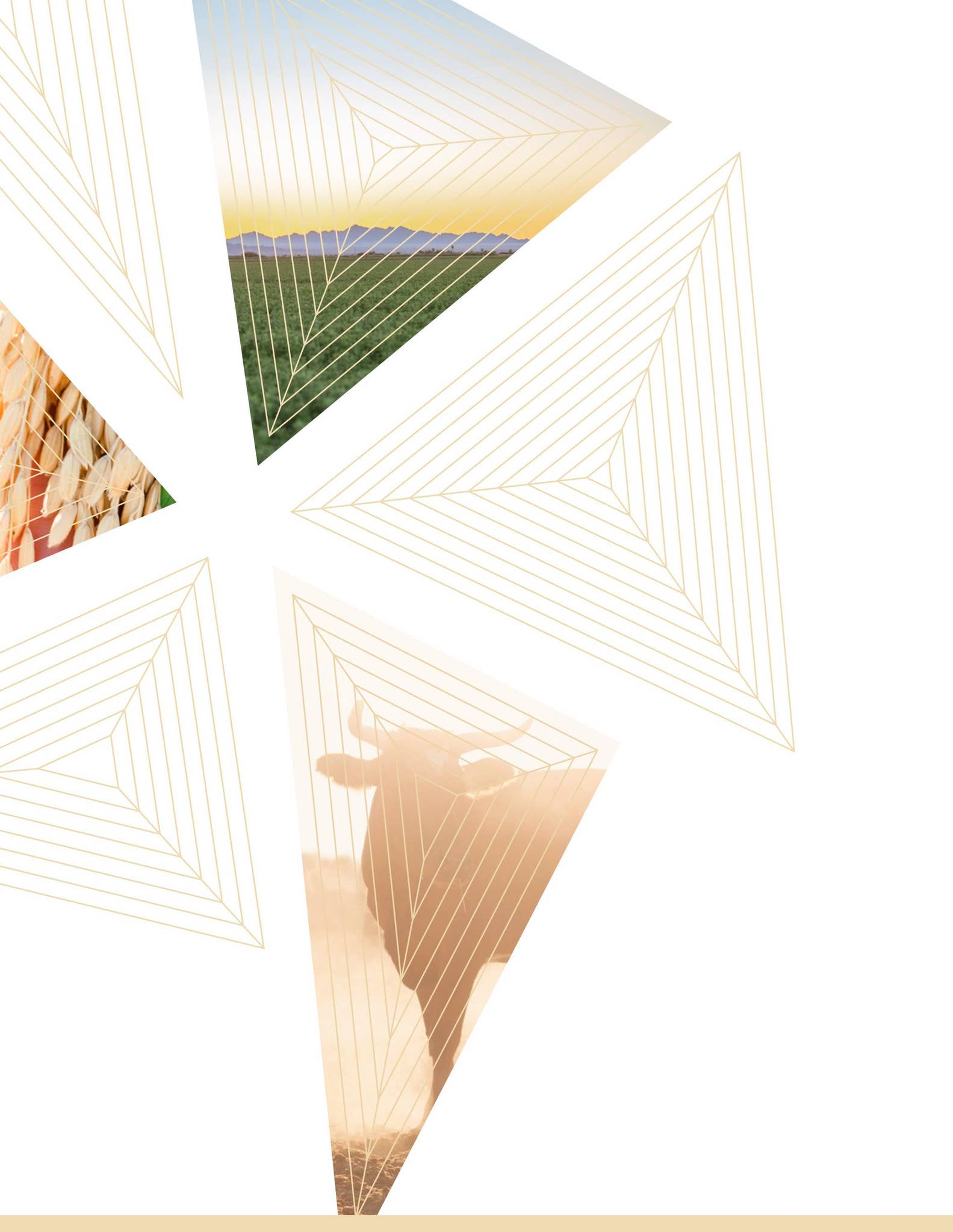 2021 Annual Report by Farm Credit West - Issuu