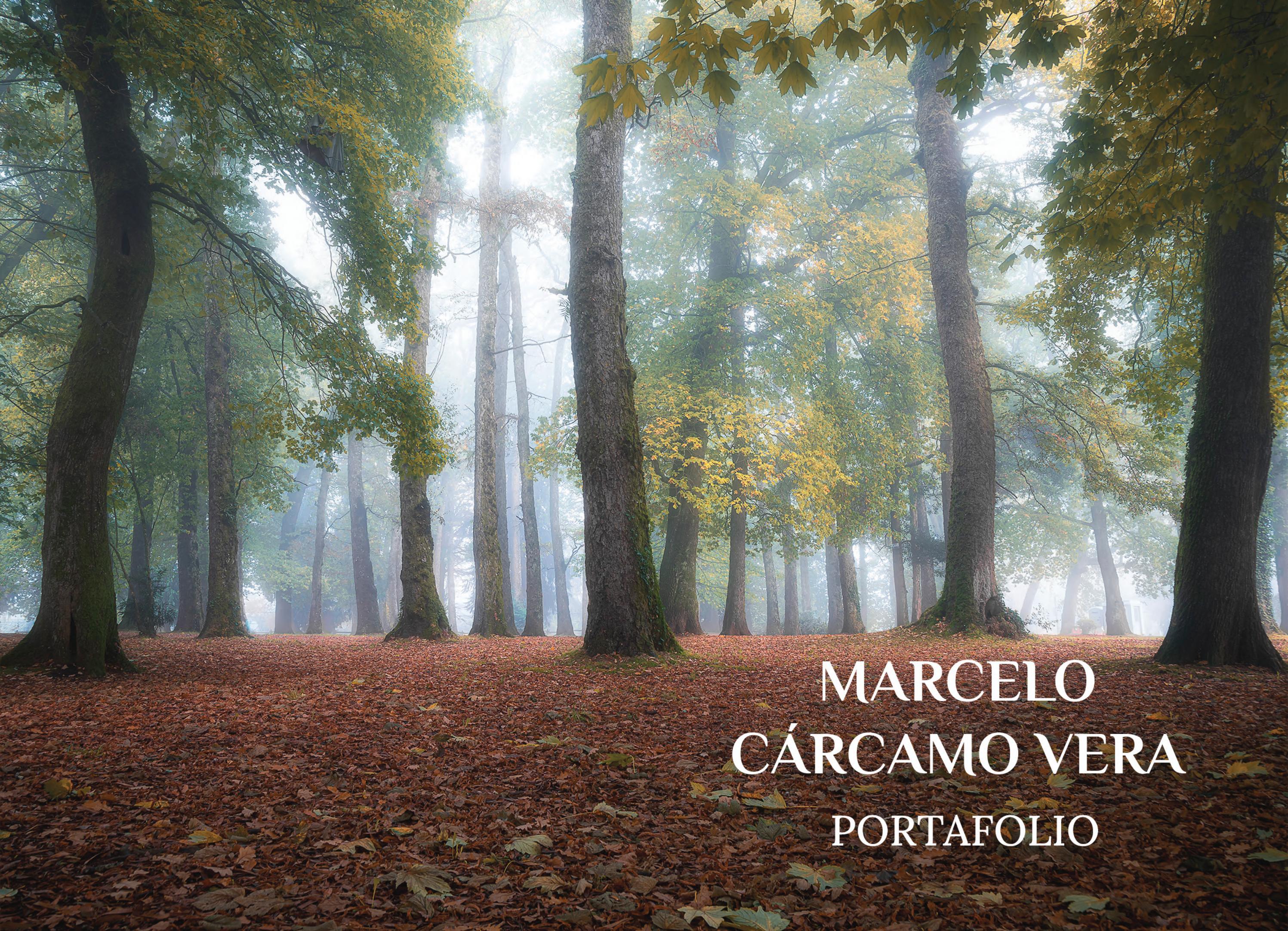 Portafolio 2022 - Cahuel by Marcelo Cárcamo - Issuu