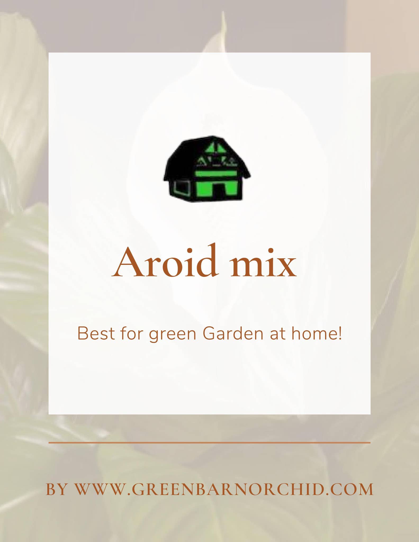 Aroid mix best for green Garden at home! by Green Barn Orchid Supplies ...