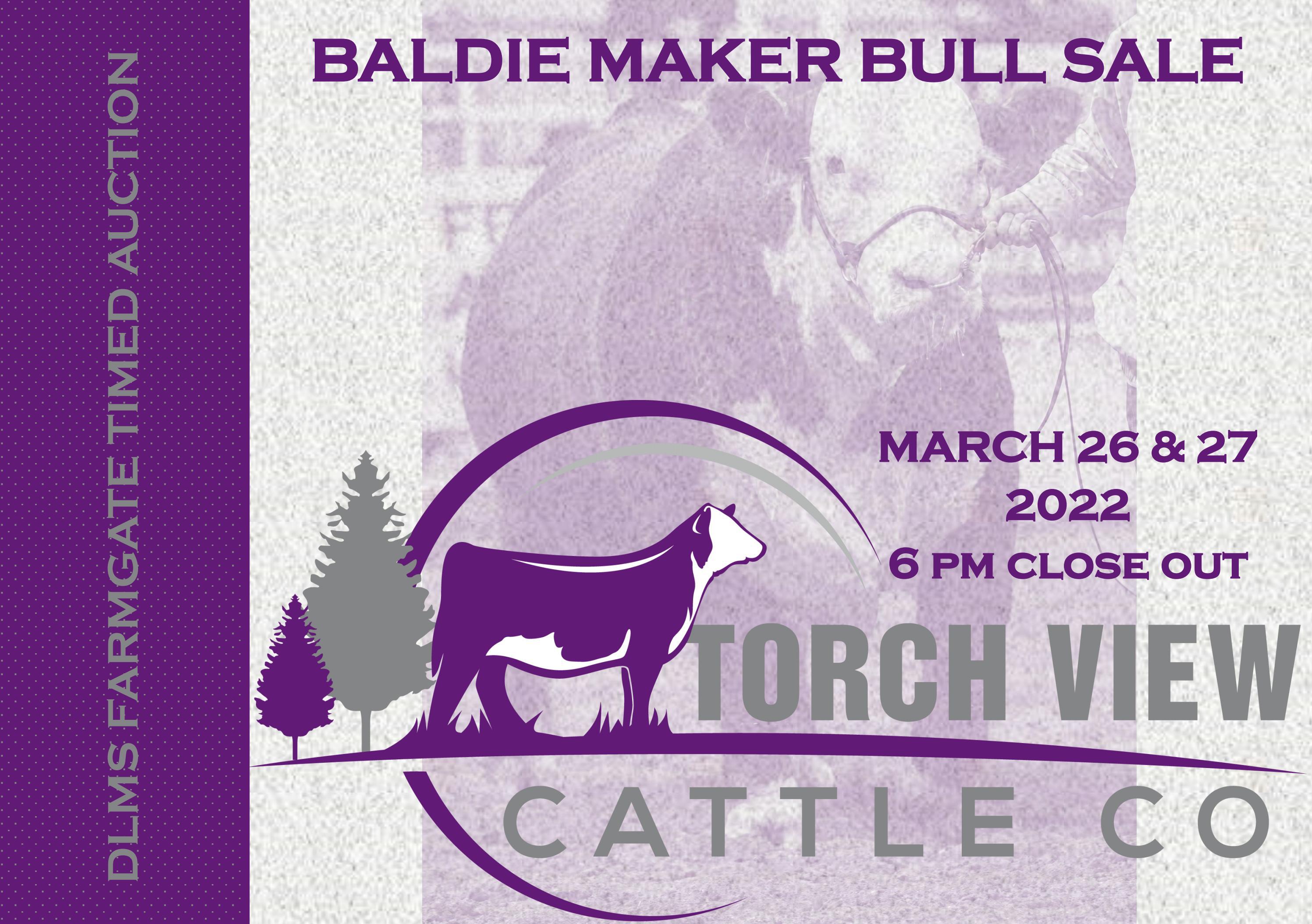 Baldie Maker Bull Sale 2022 - Torch View Cattle Co by DLMS-Cattlevids ...