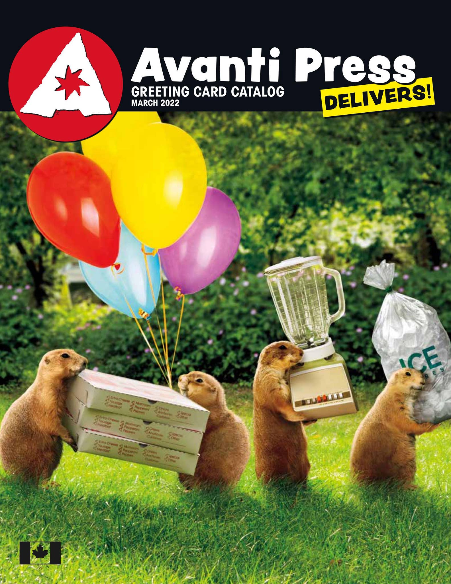 2022 Greeting Card Catalog Canada by Avanti Press - Issuu