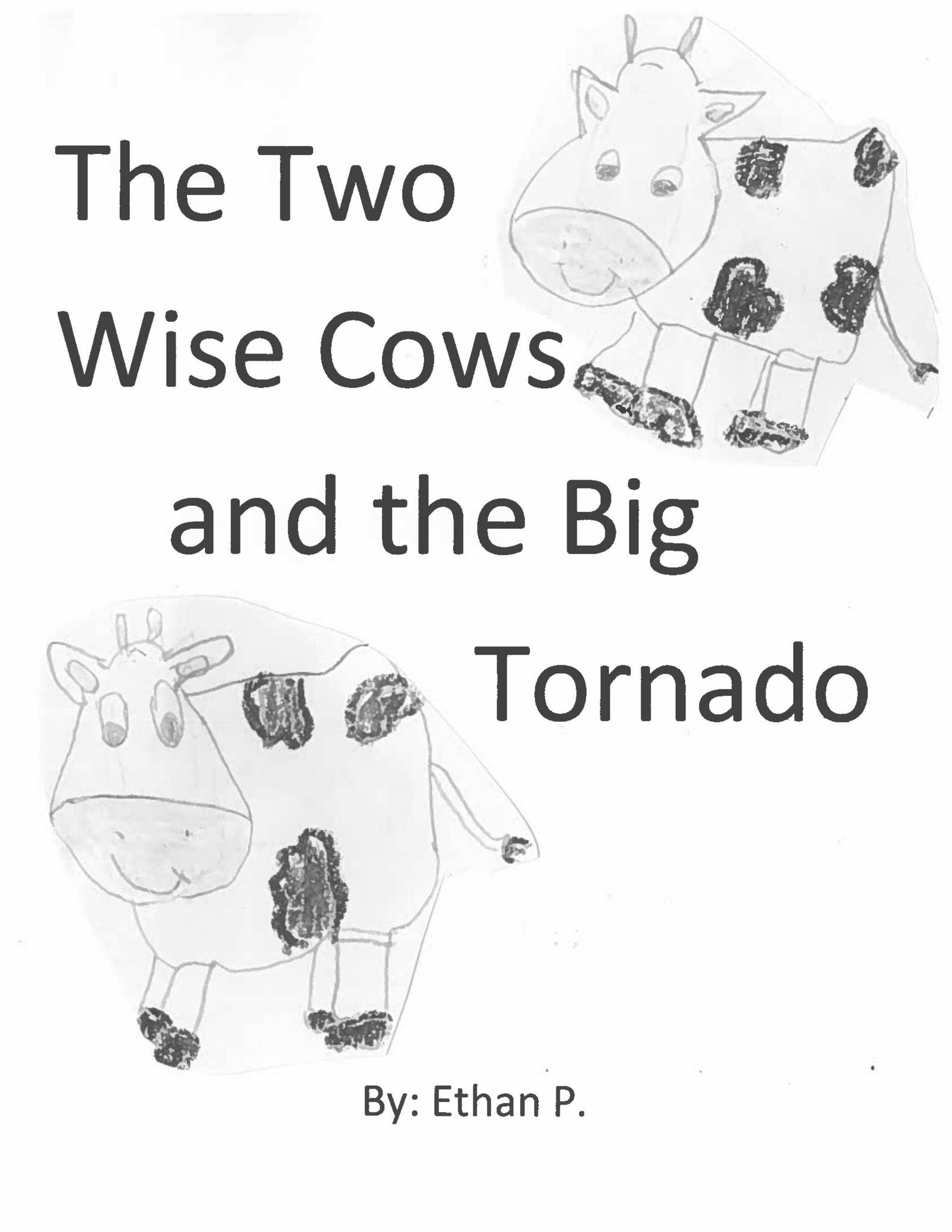 The Two Wise Cows and the Big Tornado by WJCT - Issuu