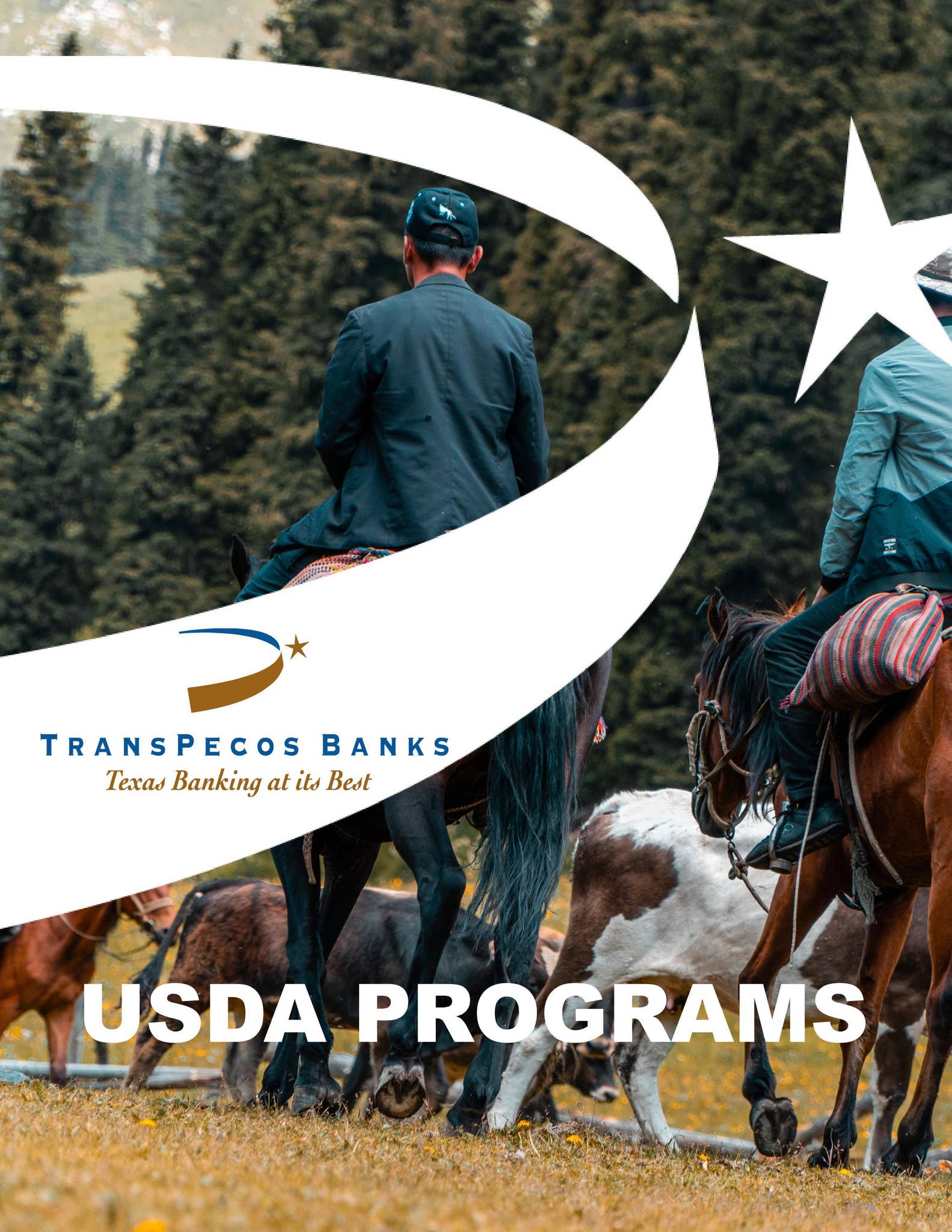 TransPecos Banks - USDA Programs by stefanielle - Issuu