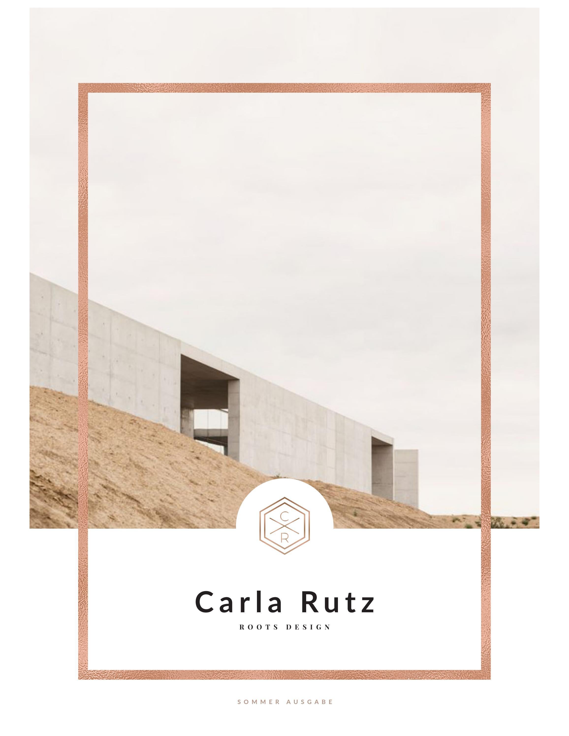 CR Thesis portfolio by Carla Rutz - Issuu