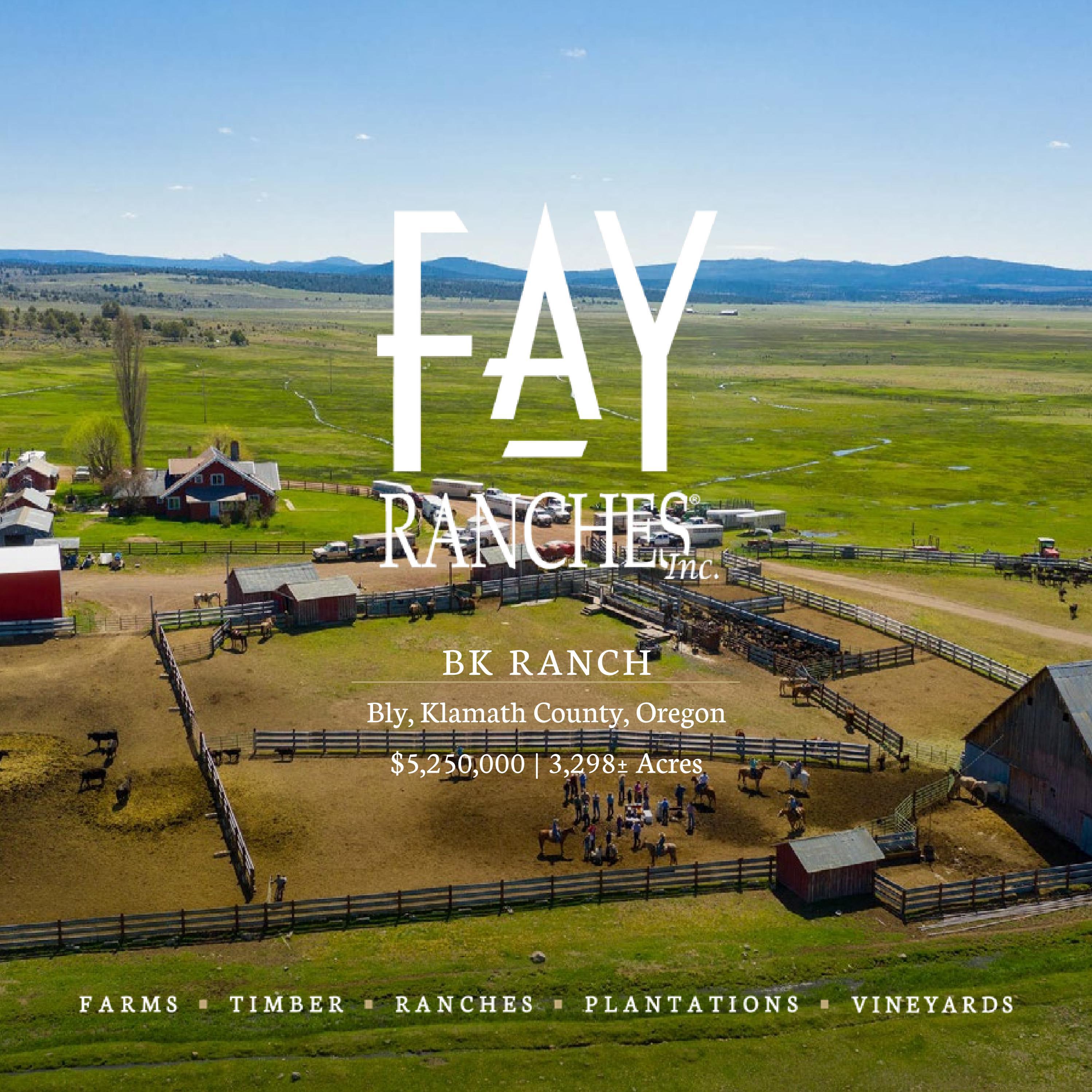 BK Ranch | Fay Ranches by Fay Ranches - Issuu