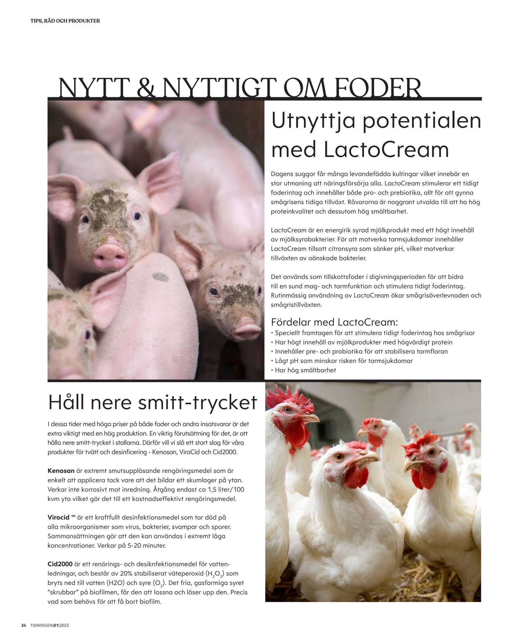 Tidningen - Ett magasin från Svenska Foder för svensk lantbruksnäring ...