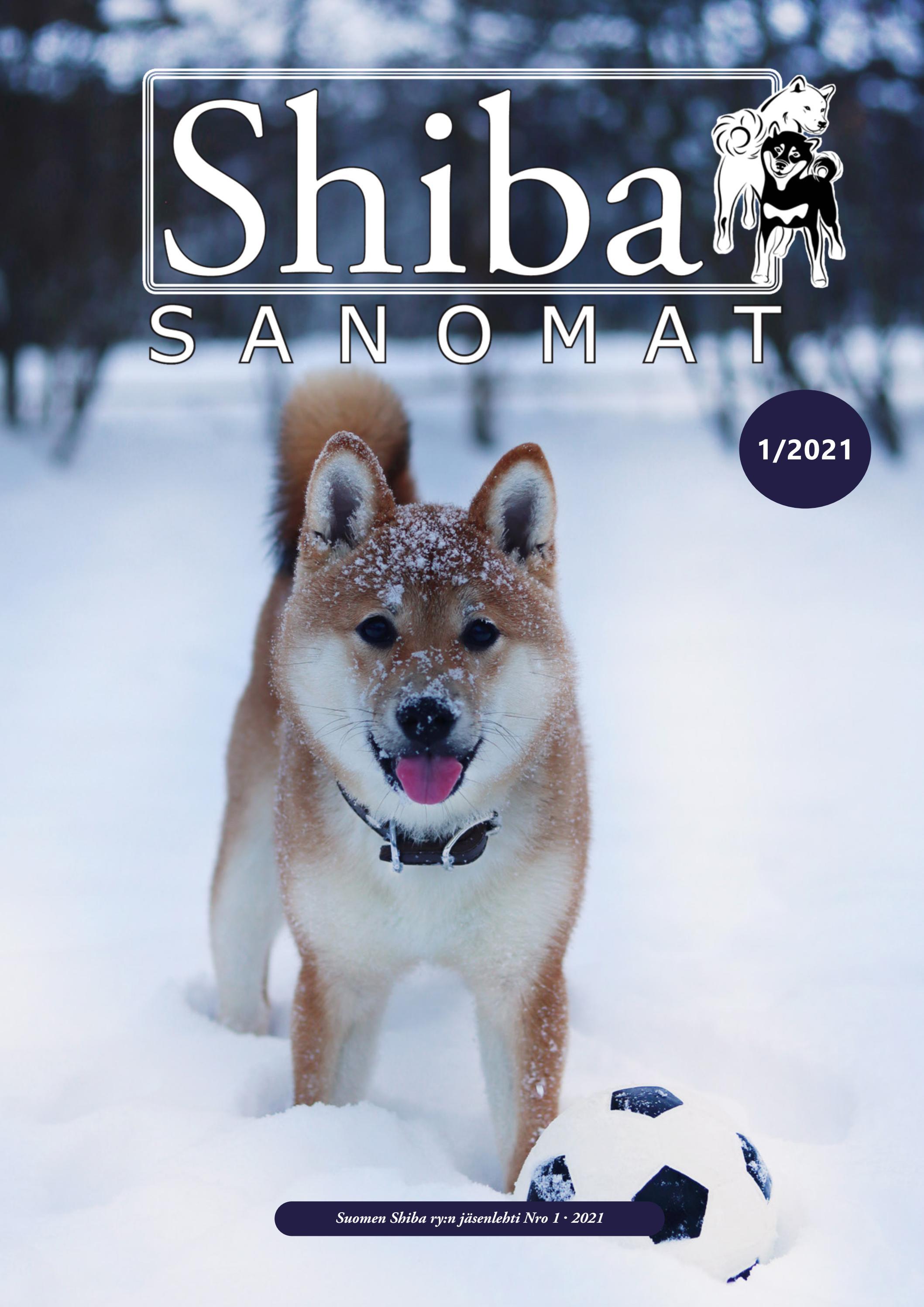 Shibasanomat 1/2021 by Suomen Shiba ry - Issuu