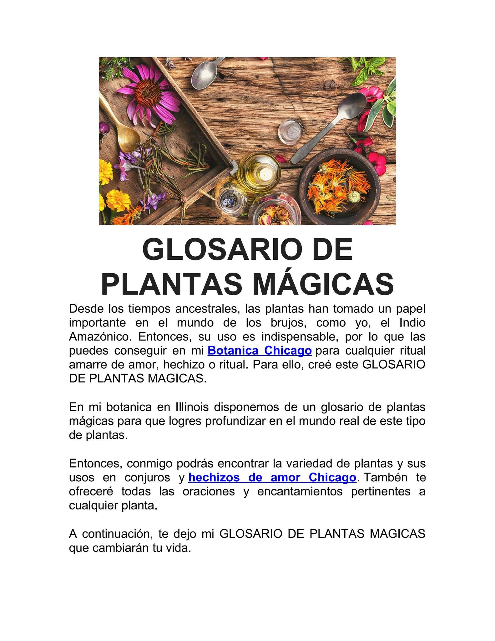 GLOSARIO DE PLANTAS MÁGICAS by Botanica Indio Amazónico - Issuu