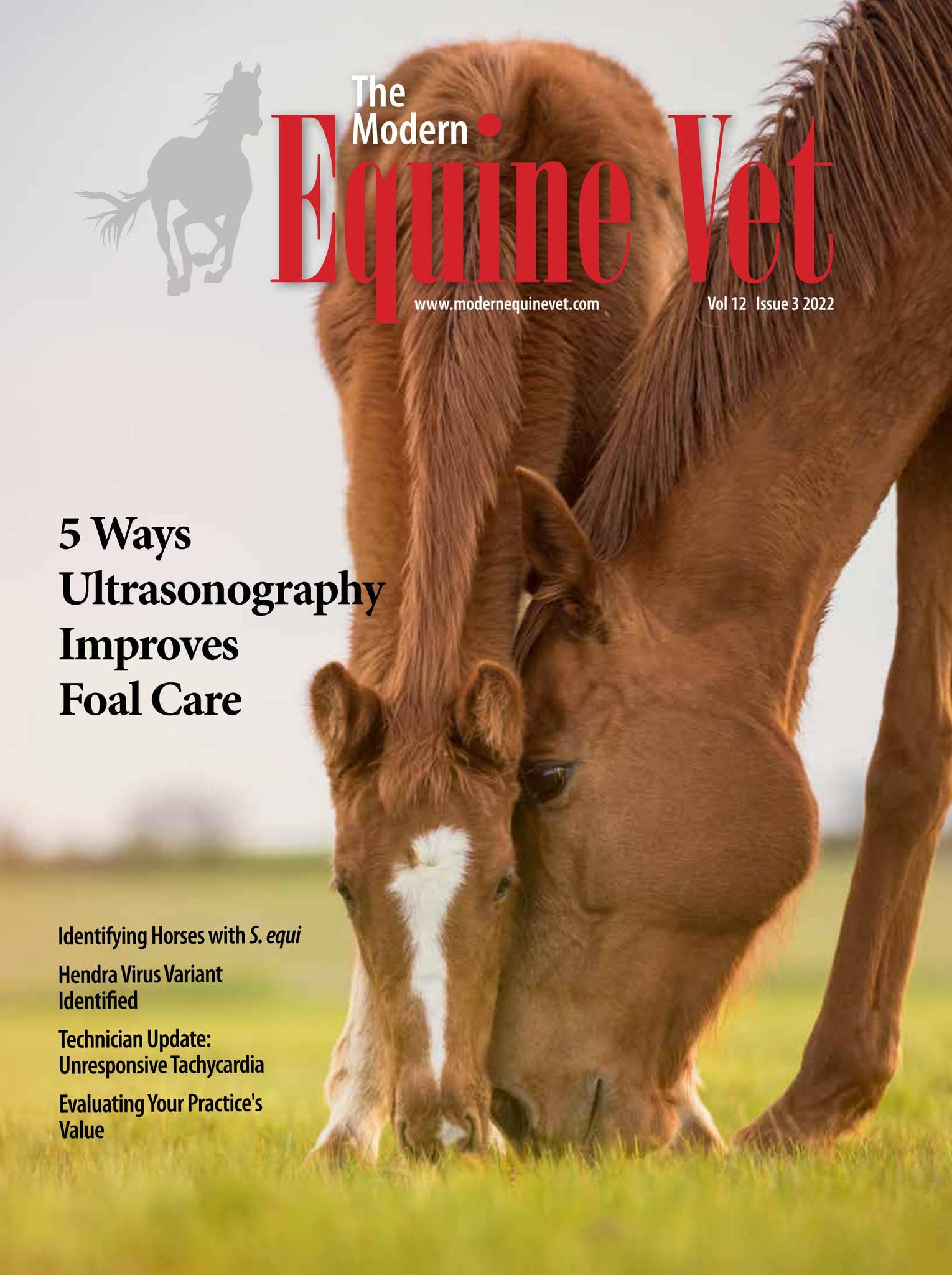 The Modern Equine Vet - March 2022 by The Modern Equine Vet - Issuu