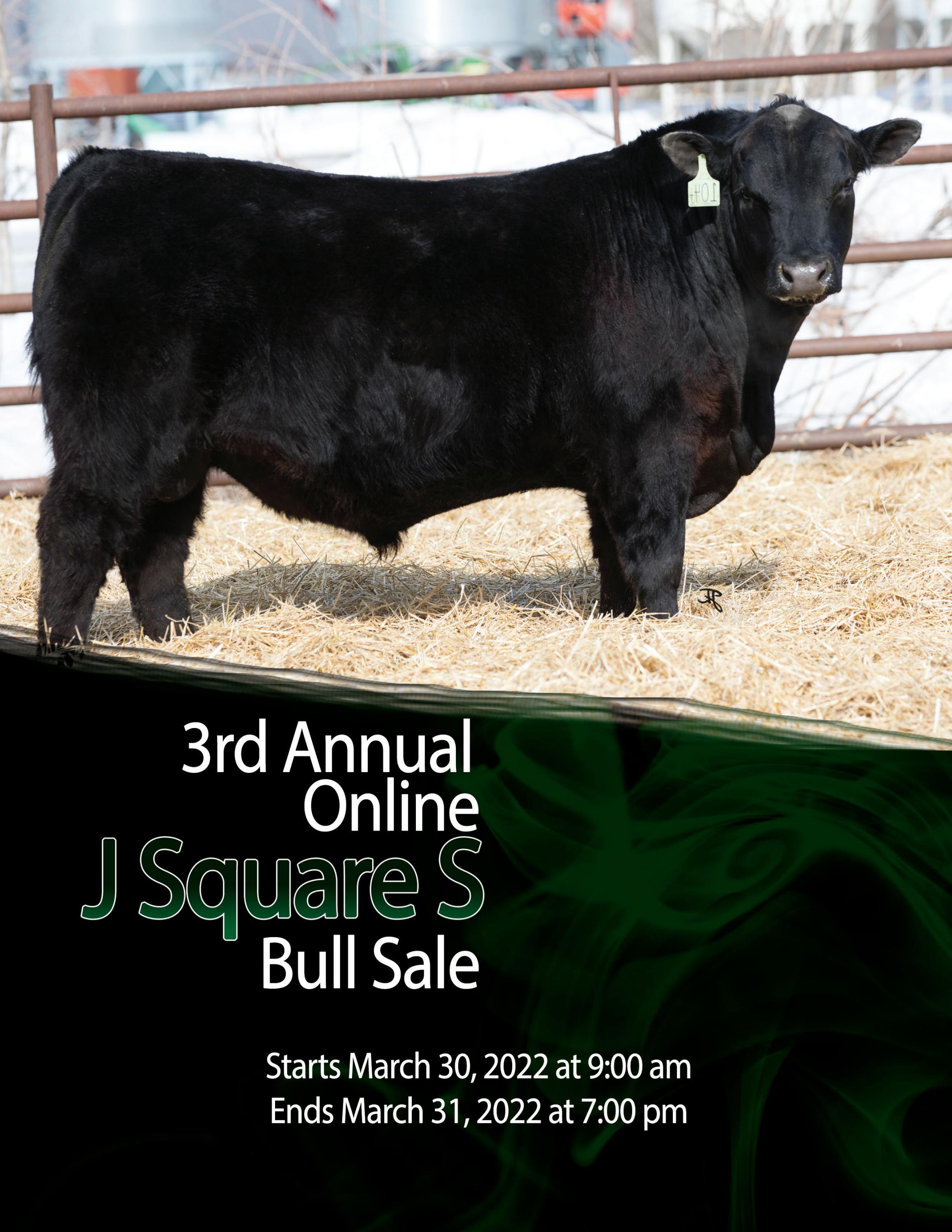 J Square S 3rd Annual Online Bull Sale by Today's Publishing Inc. - Issuu