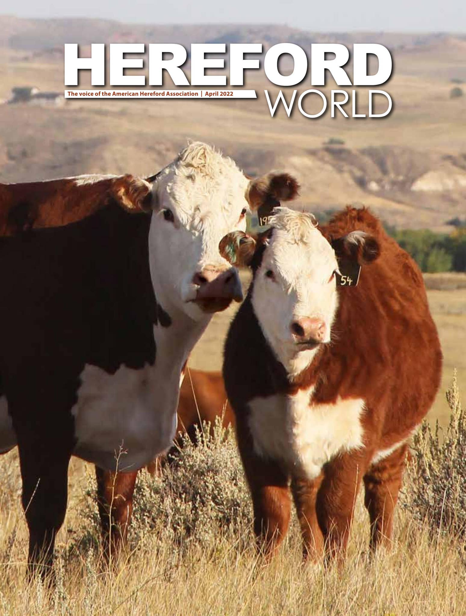 April 2022 Hereford World Magazine by American Hereford Association - Issuu