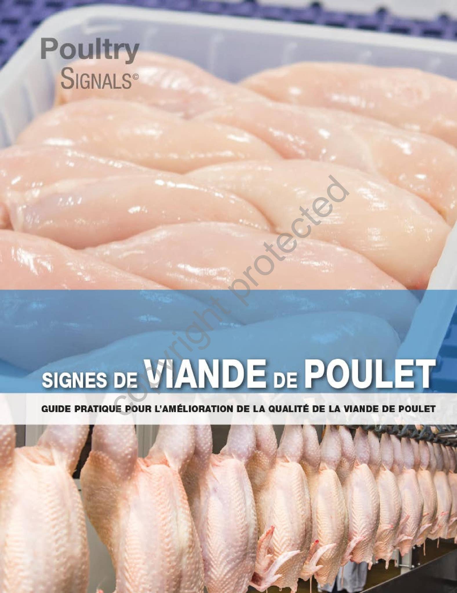 Broiler Meat Signals French edition by Roodbont Publishers - Issuu