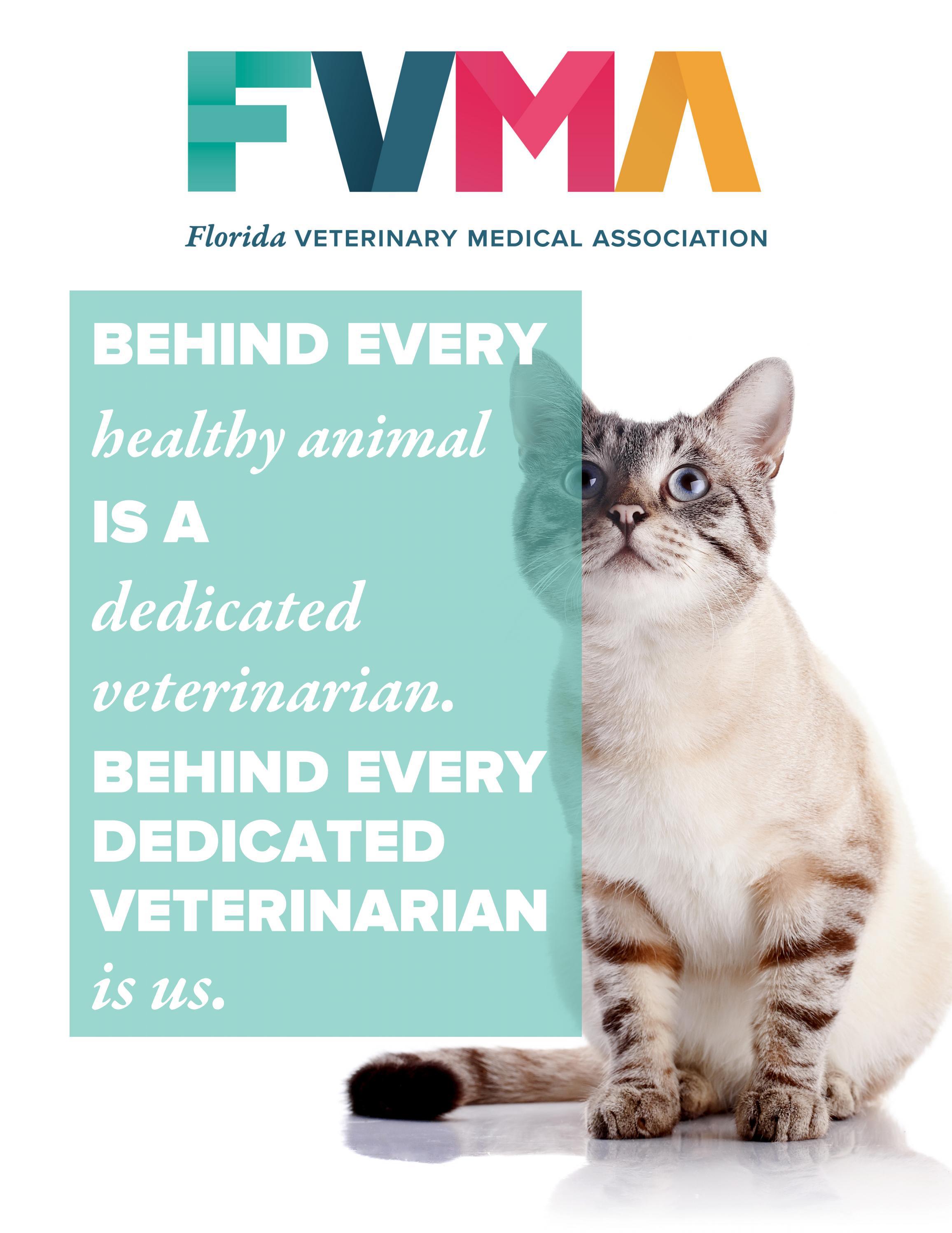 2022 Membership and Rebranding Info Packet by FVMA - Issuu