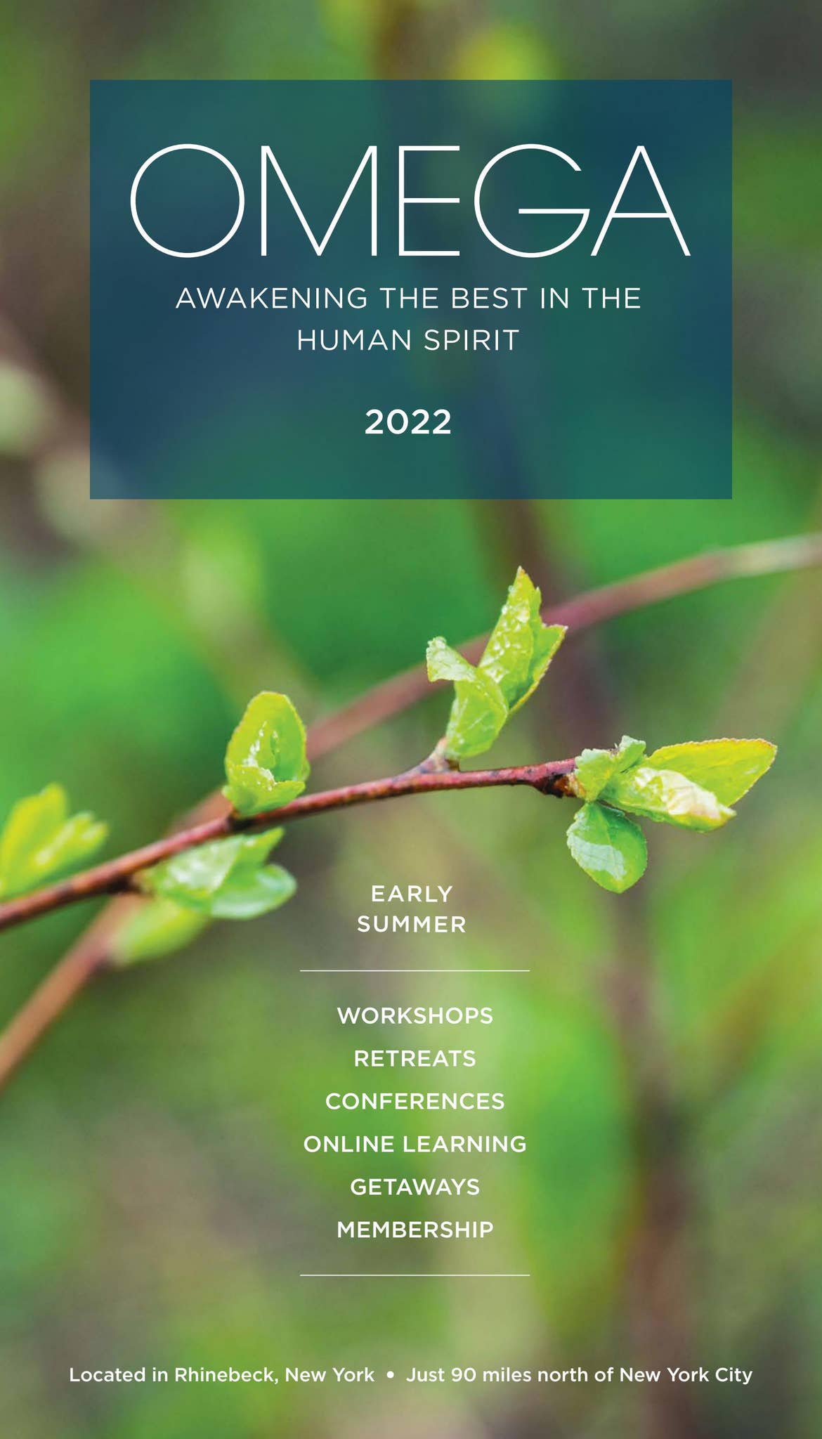 Omega 2022 Spring Brochure by Omega Institute - Issuu