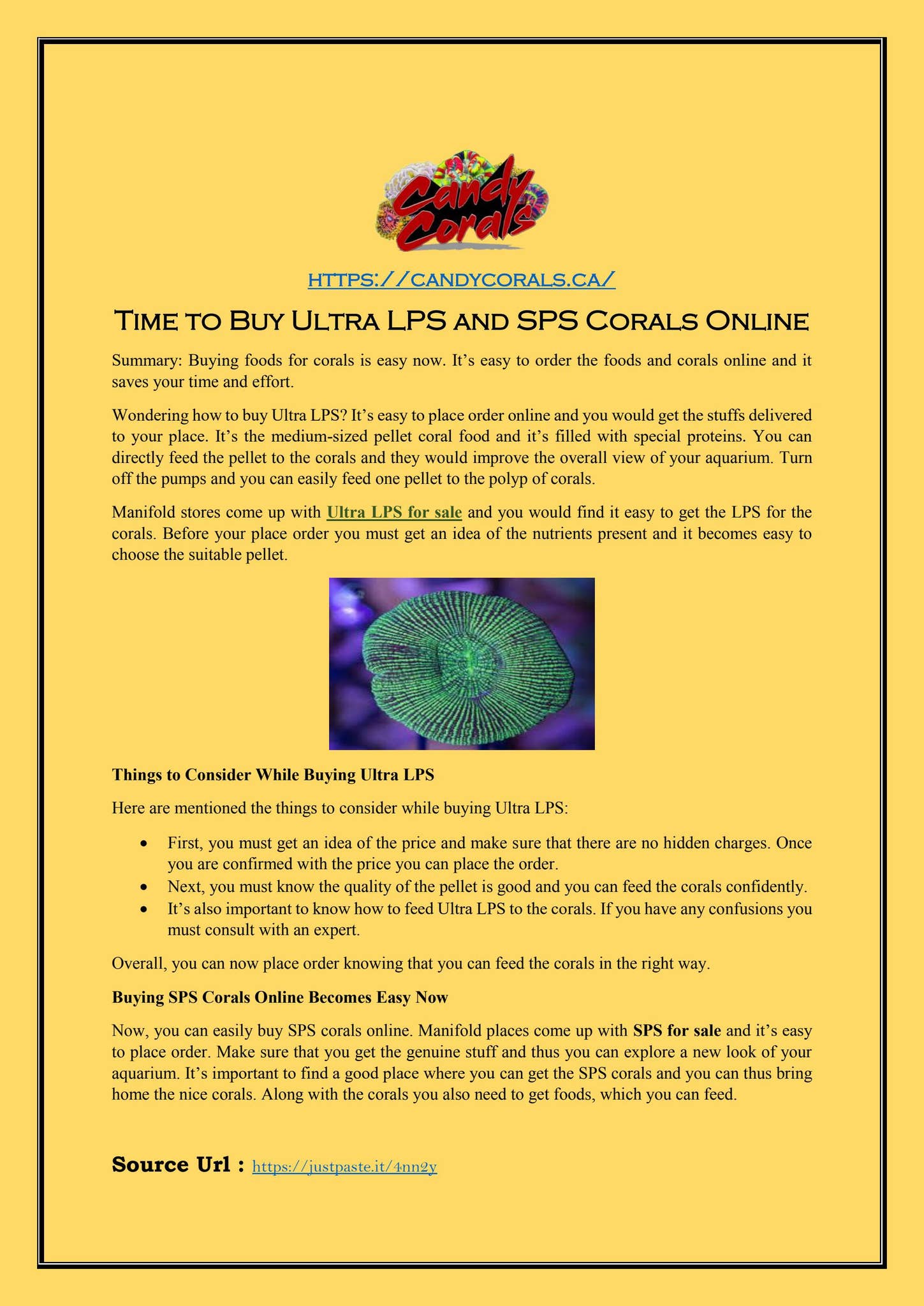 Time to Buy Ultra LPS and SPS Corals Online. by Candy Corals - Issuu