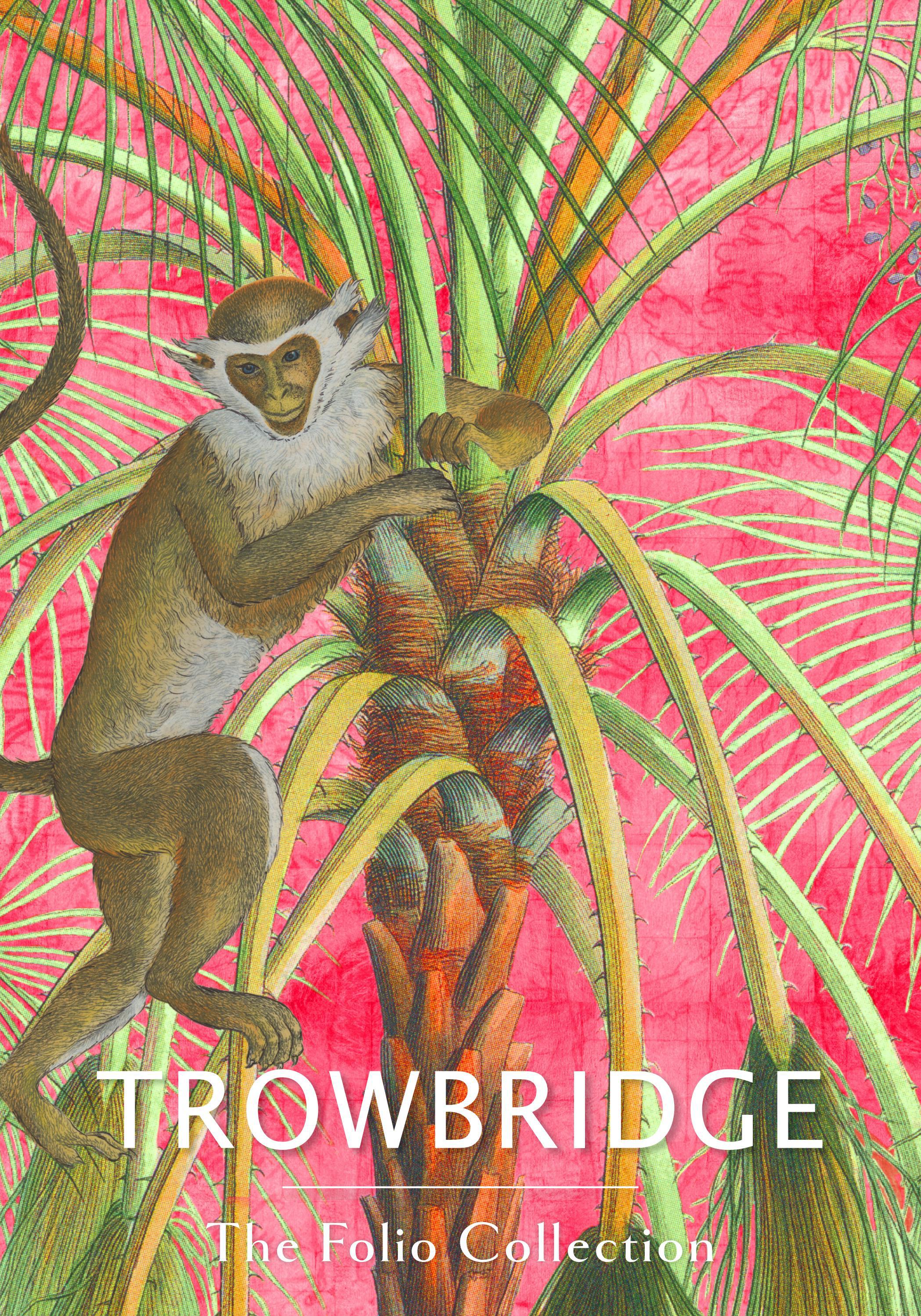 The Trowbridge Folio Collection by Bridge For Design - Issuu