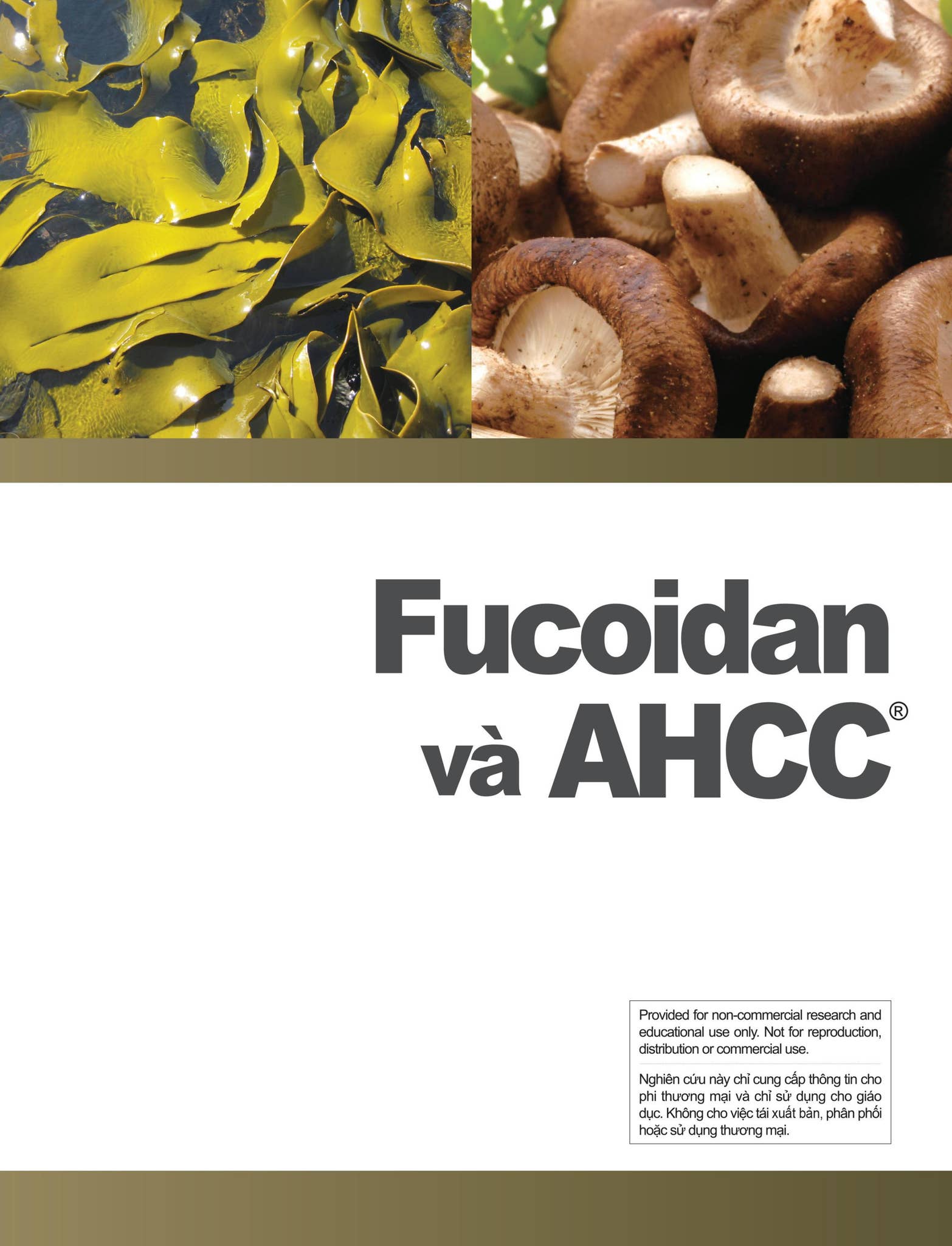 Fucoidan & AHCC High Light by NatureMedic Fucoidan - Issuu