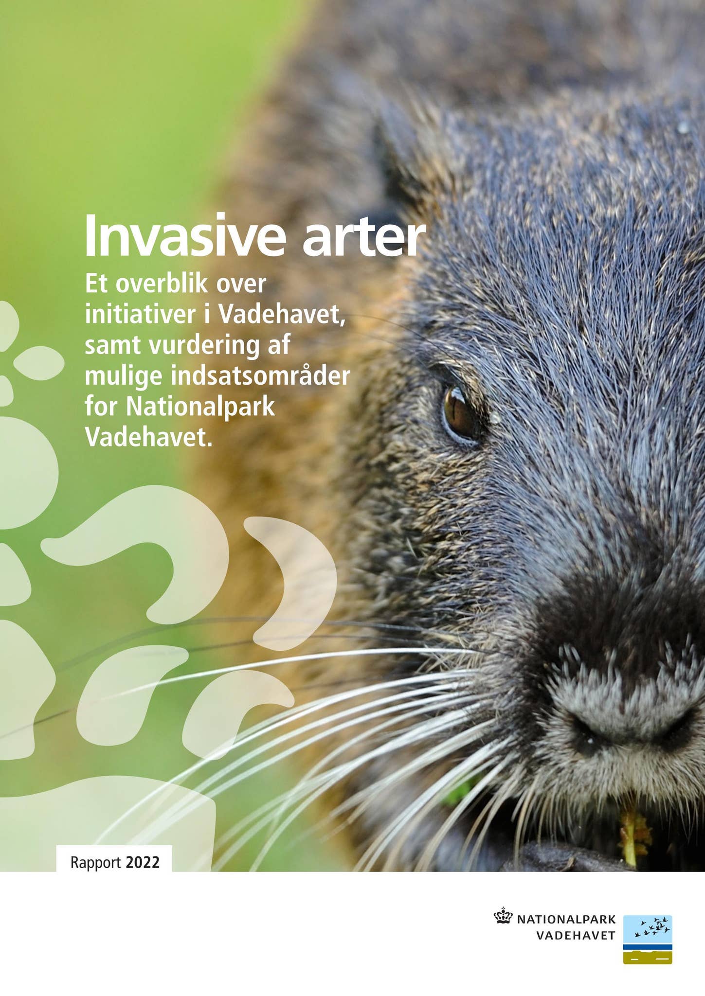 Invasive arter by Nationalpark Vadehavet - Issuu
