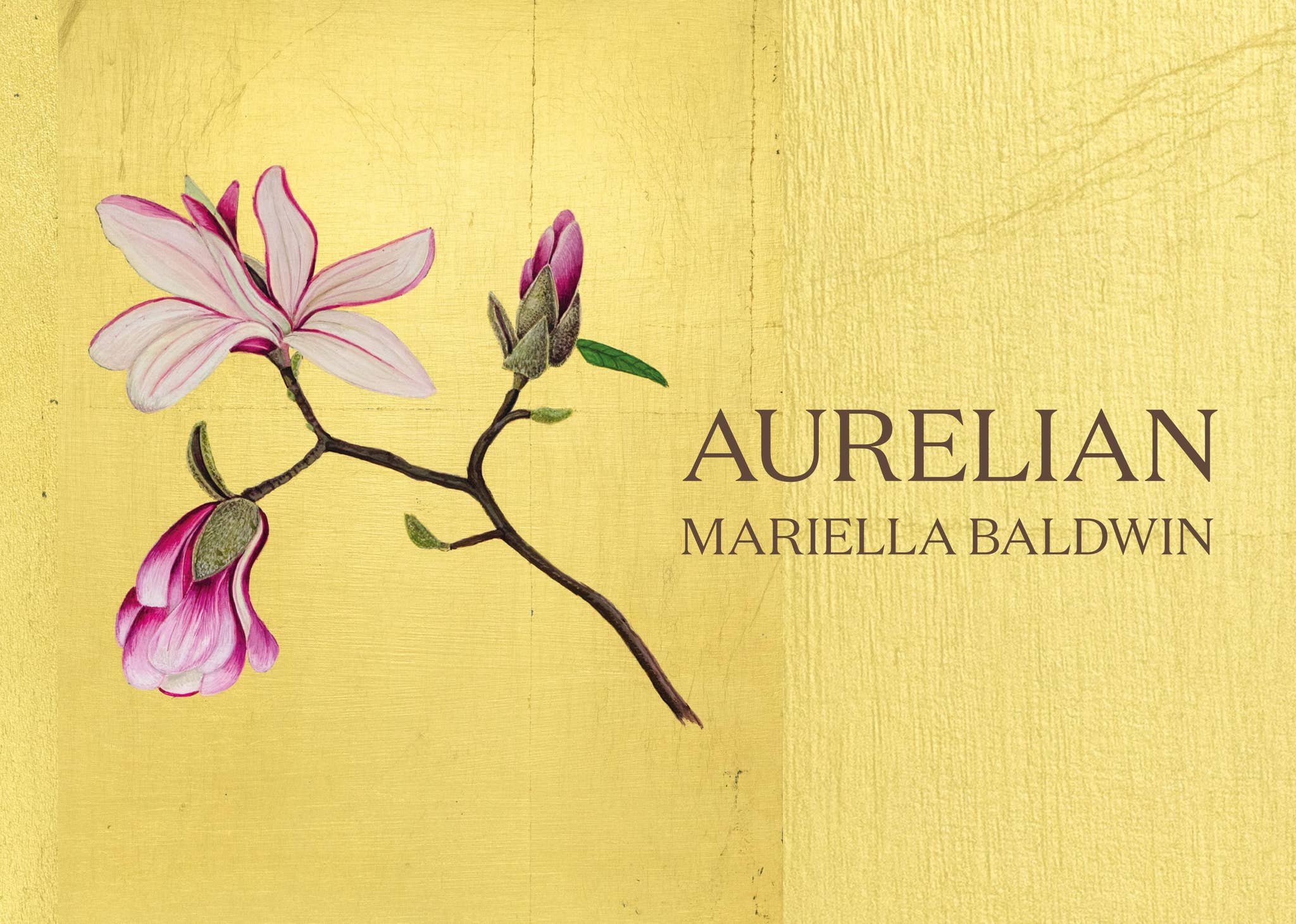 Design and Artwork Photography: Debbie Loftus. Exhibition catalogue ...