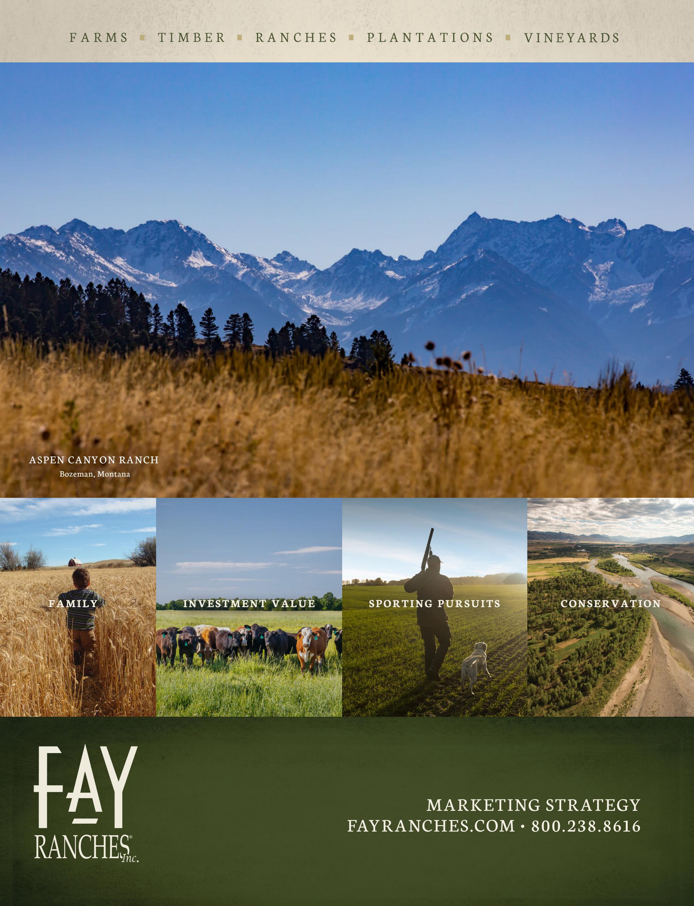 2022 Fay Ranches Marketing Strategy by Fay Ranches - Issuu