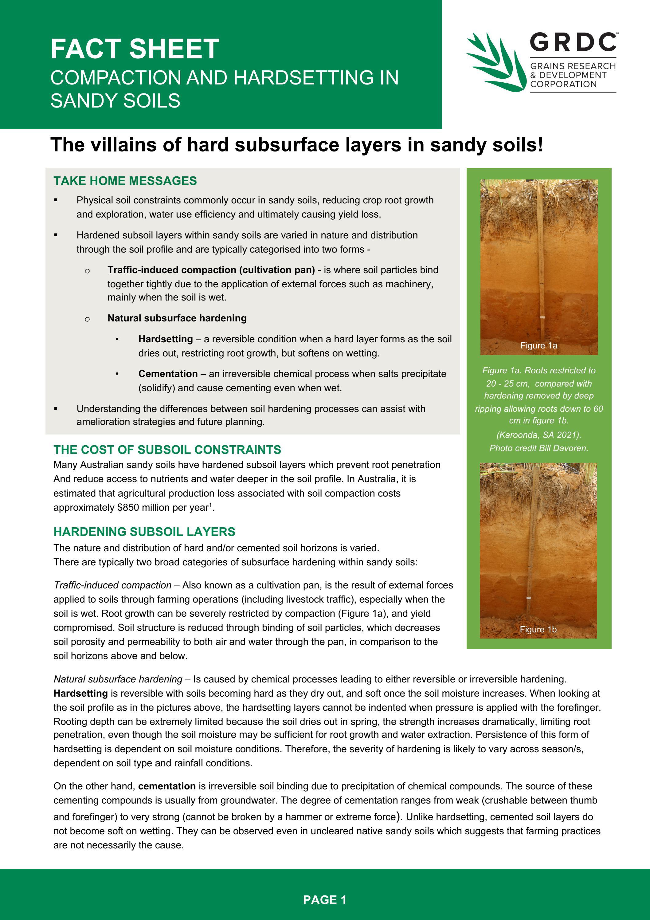 Compaction and hardsetting in sandy soils by MalleeSustainable - Issuu