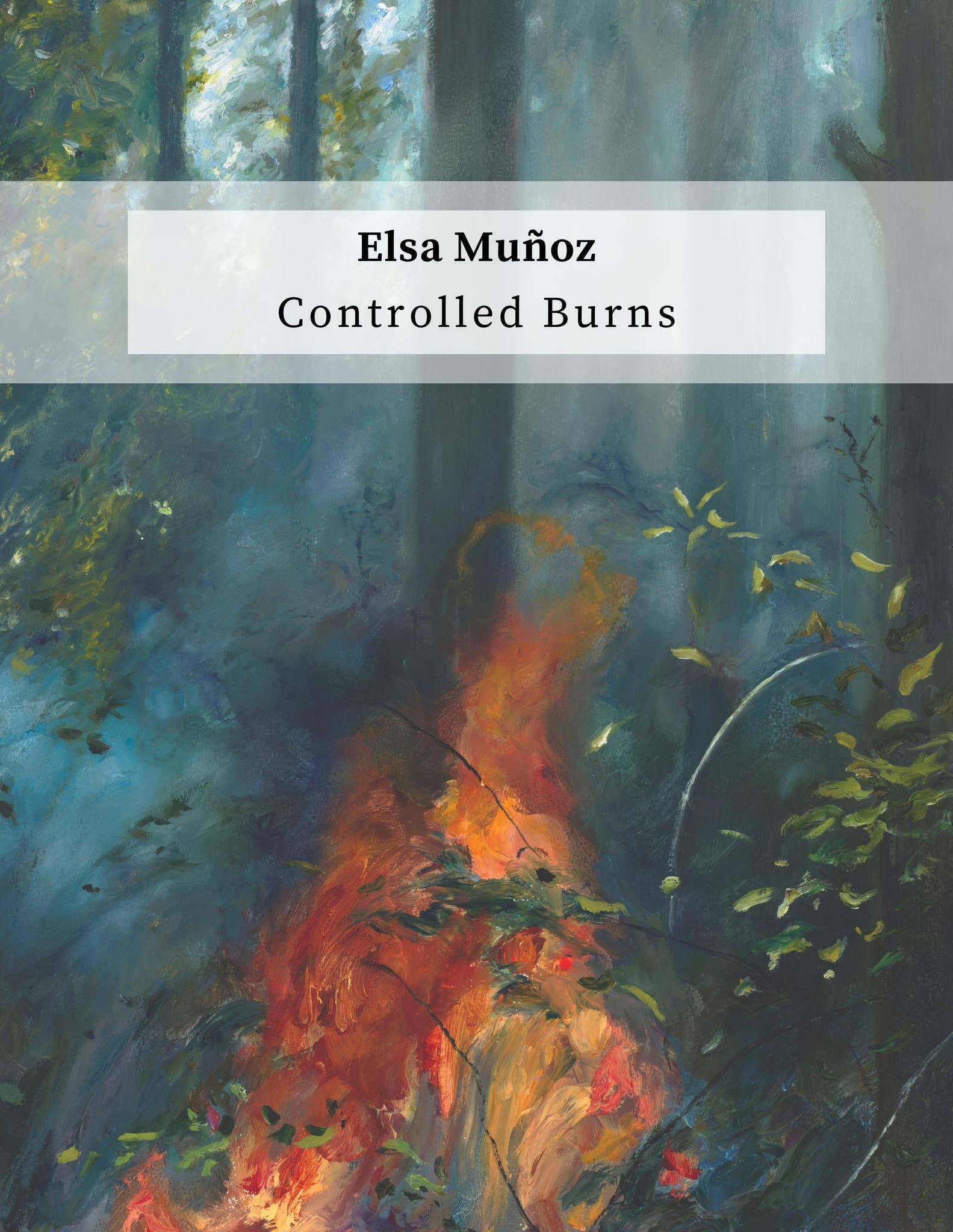 Elsa Muñoz: Controlled Burns by Brandt-Roberts Galleries - Issuu