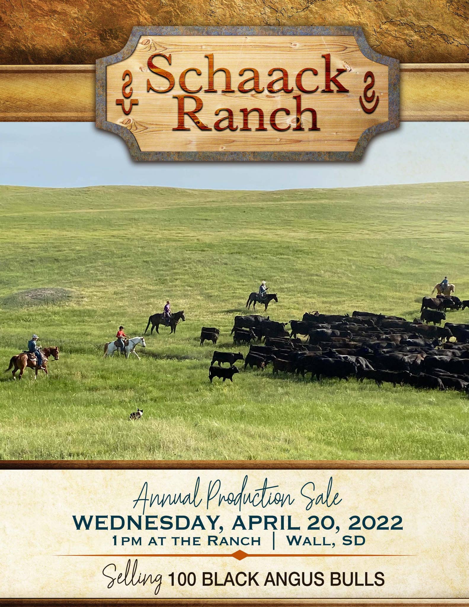 Schaack Ranch Annual Production Sale by Tri-State Livestock News ...