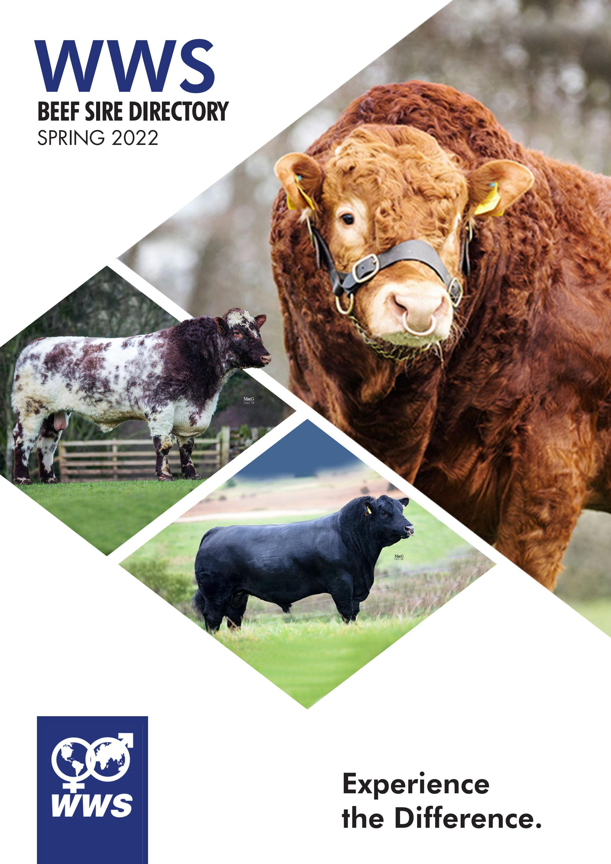 WWS Beef Sire Directory Spring 2022 by WWS Ireland - Issuu