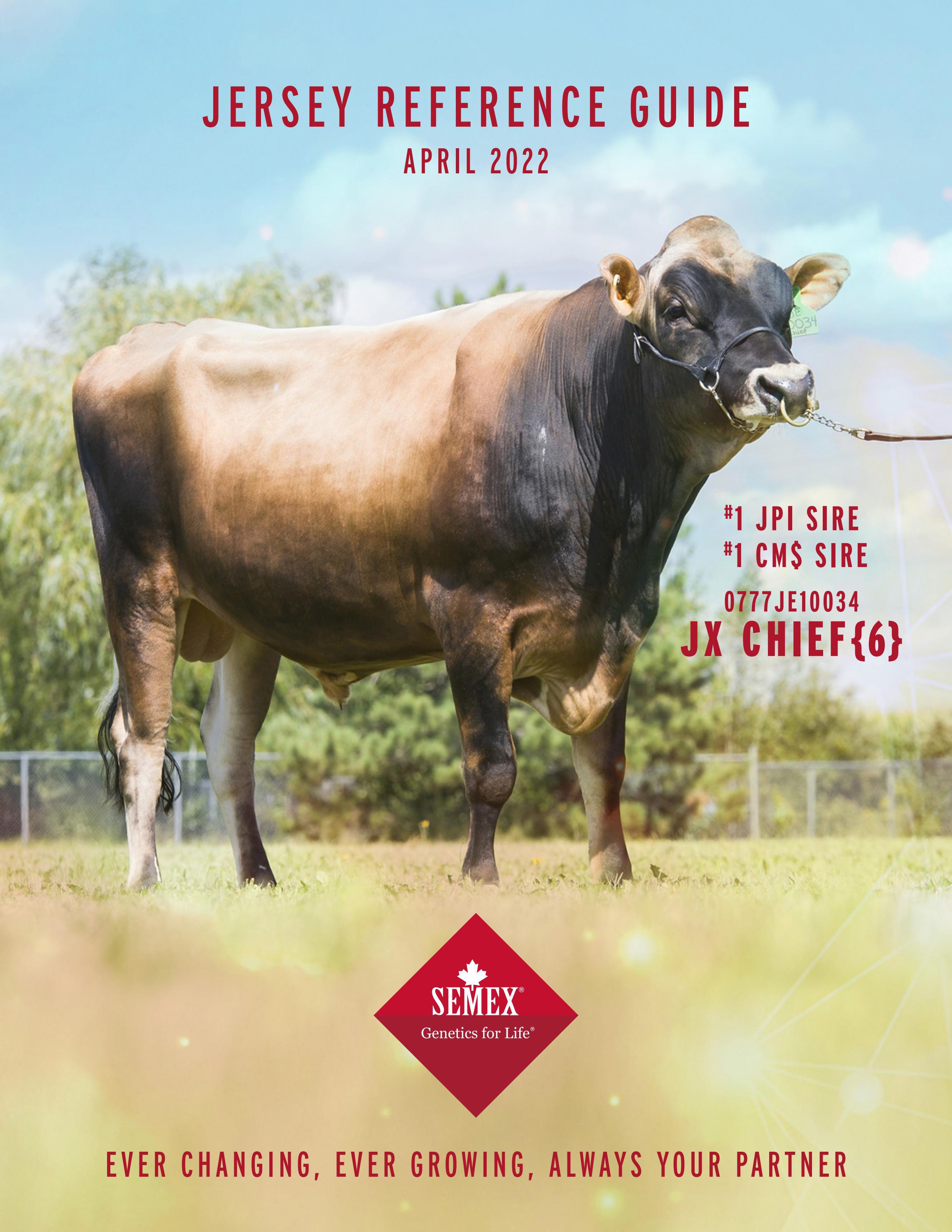 Semex - April 2022 USA Jersey Reference Guide by Semex - Issuu