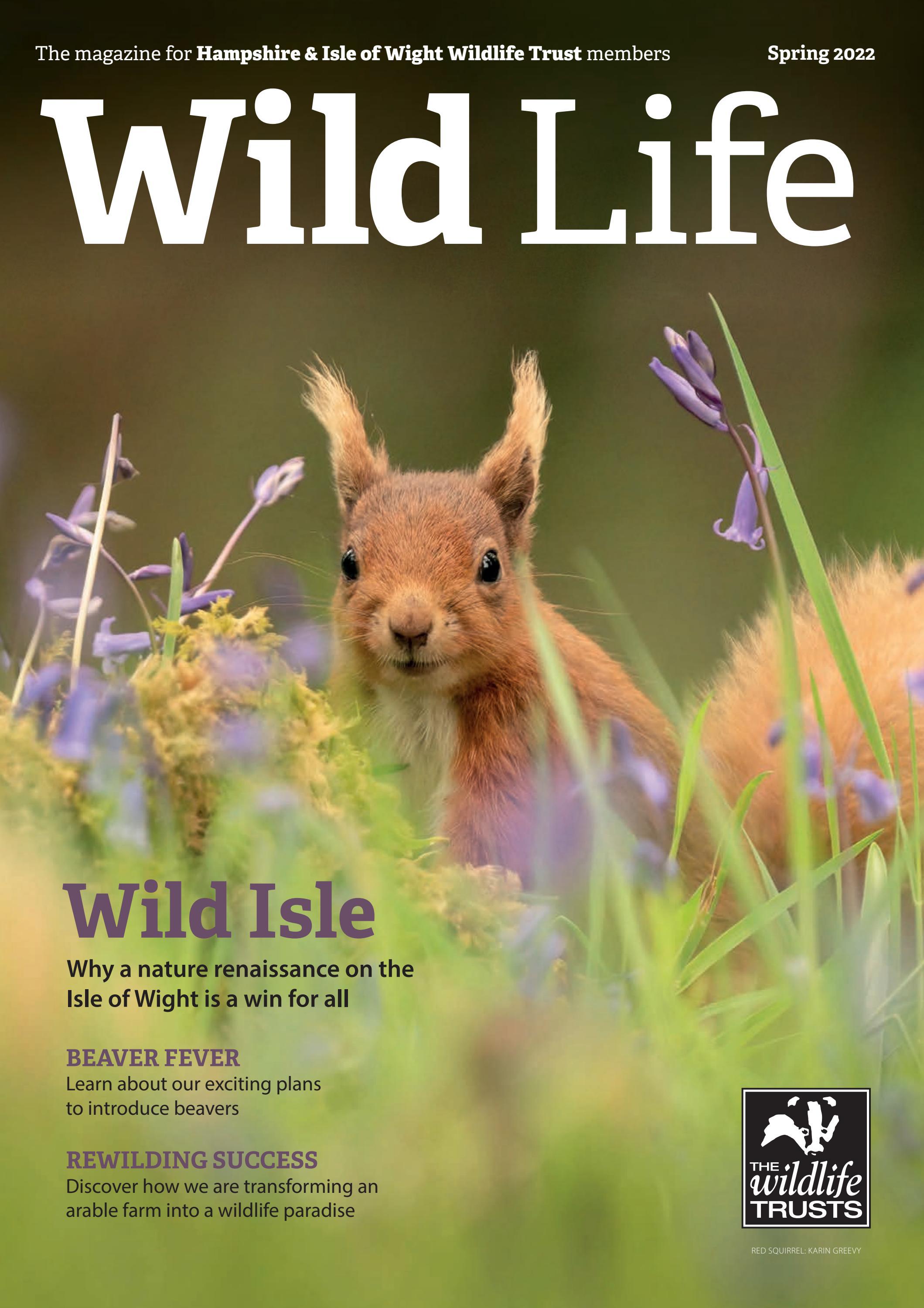 Wild Life - Spring 2022 by Hampshire & Isle of Wight Wildlife Trust - Issuu