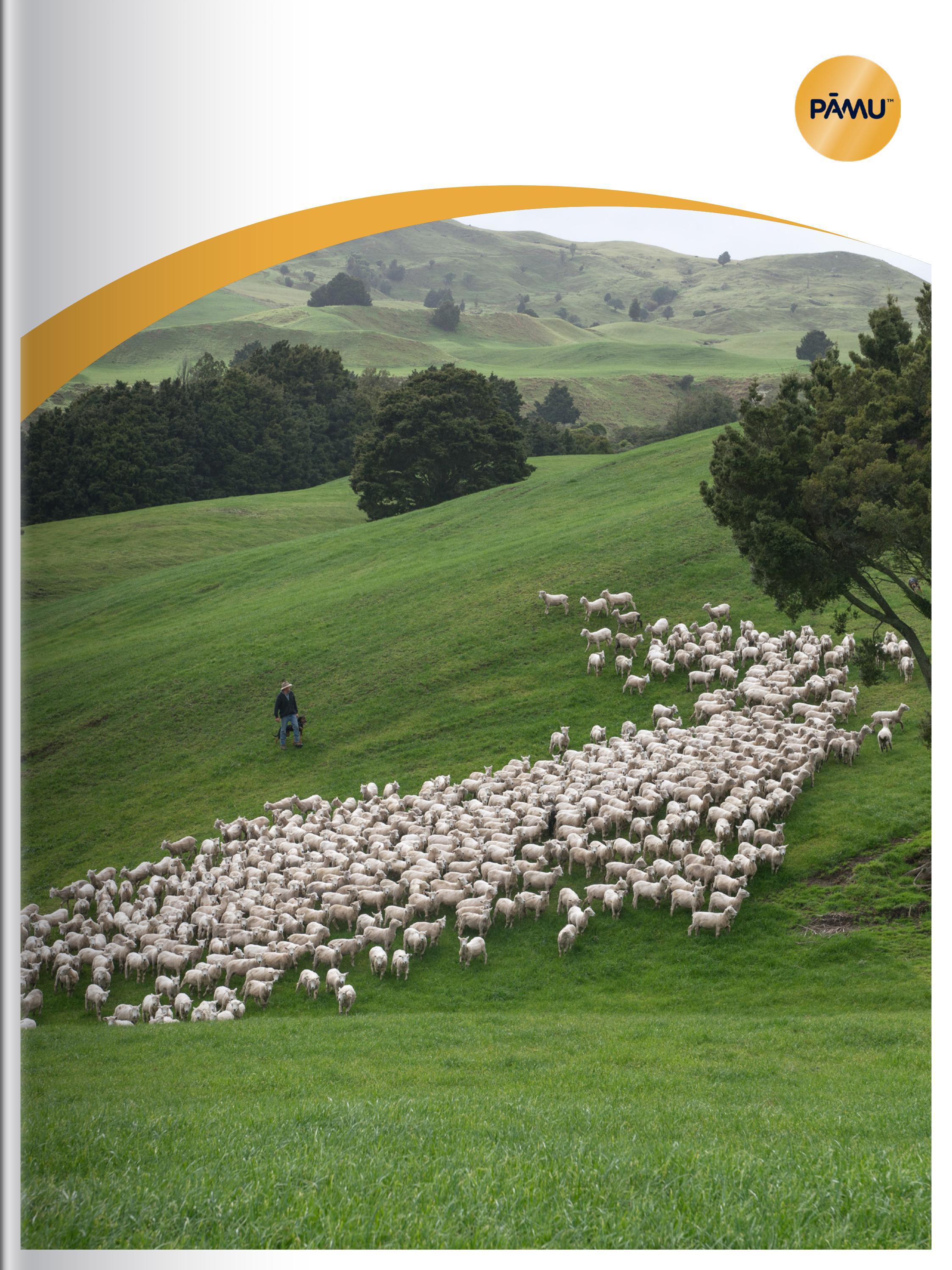 Pamu Farms by Outlook Publishing - Issuu
