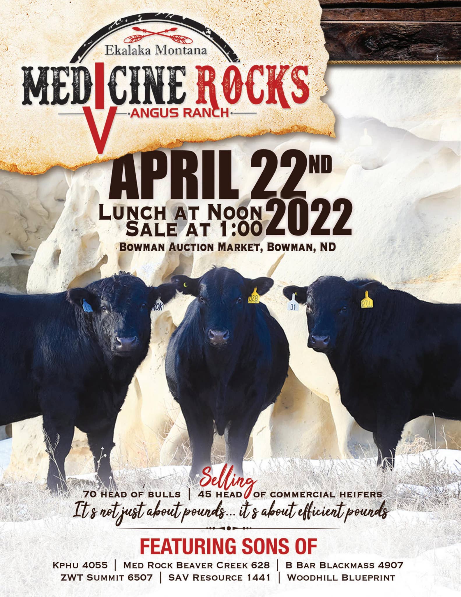 Medicine Rocks Angus Sale Catalog 2022 by PeltonLivestock - Issuu
