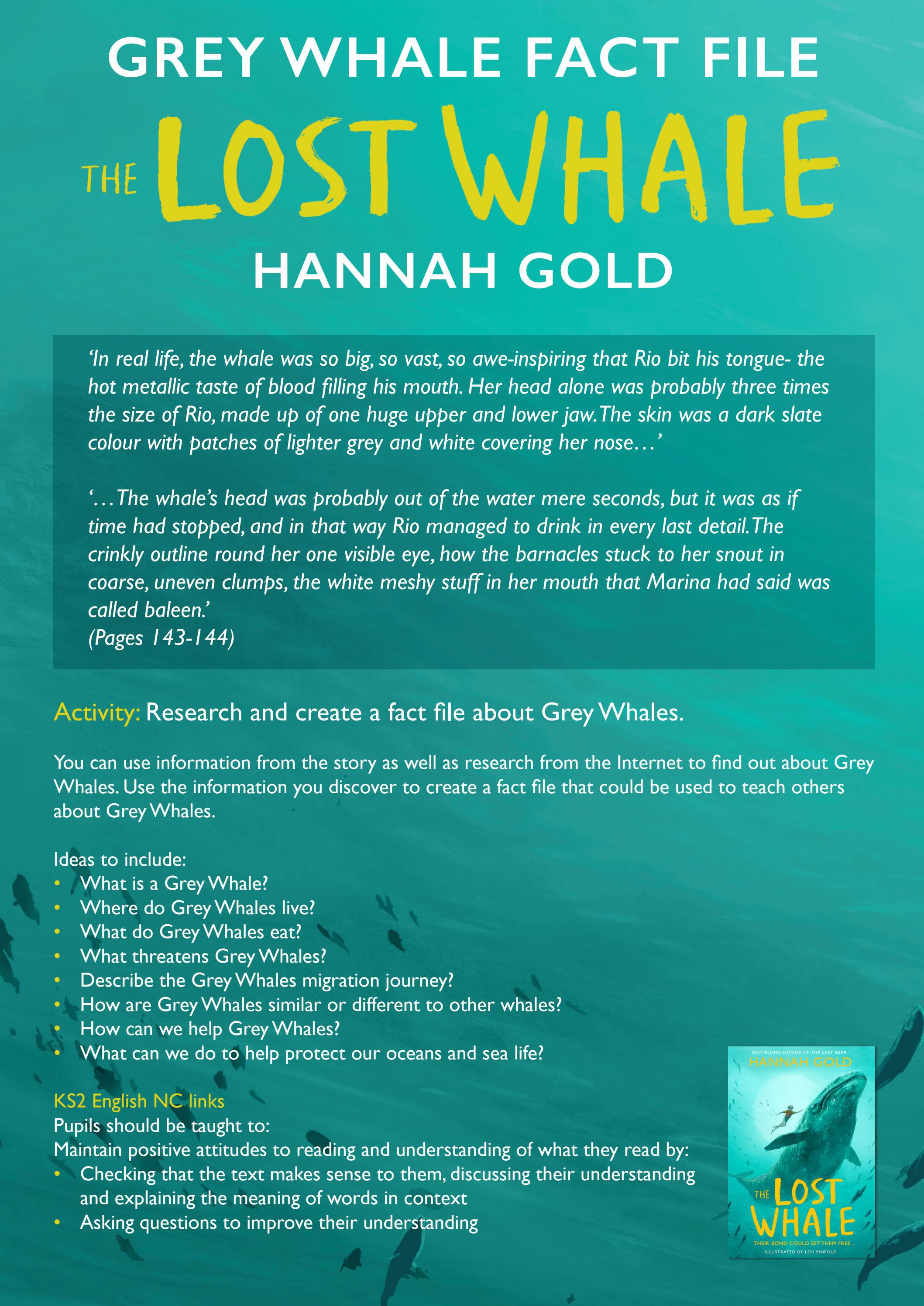 The Lost Whale - Grey Whale Fact File by harpercollinschildrens - Issuu