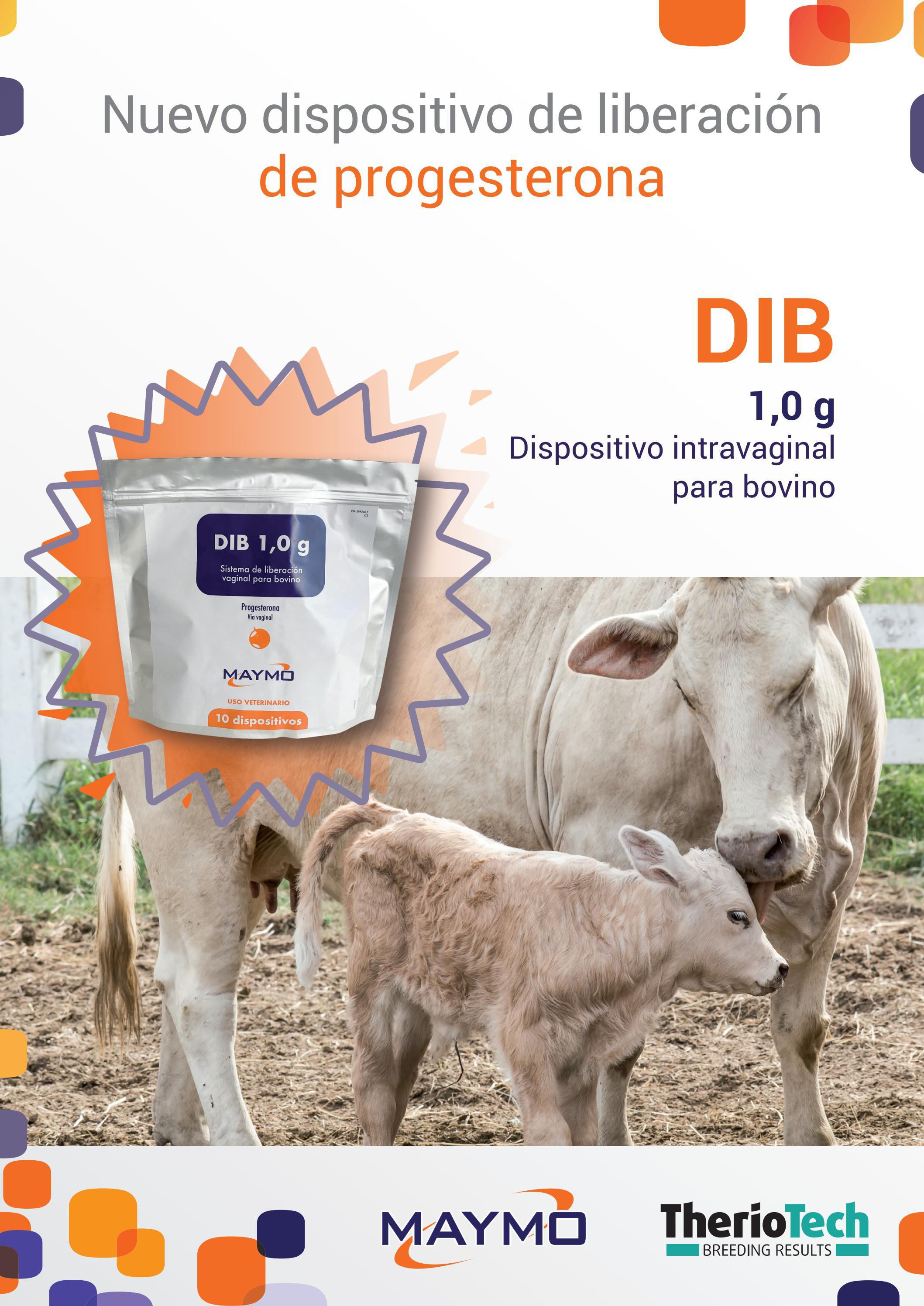 DIB_folleto 2022 by maymo_iven - Issuu