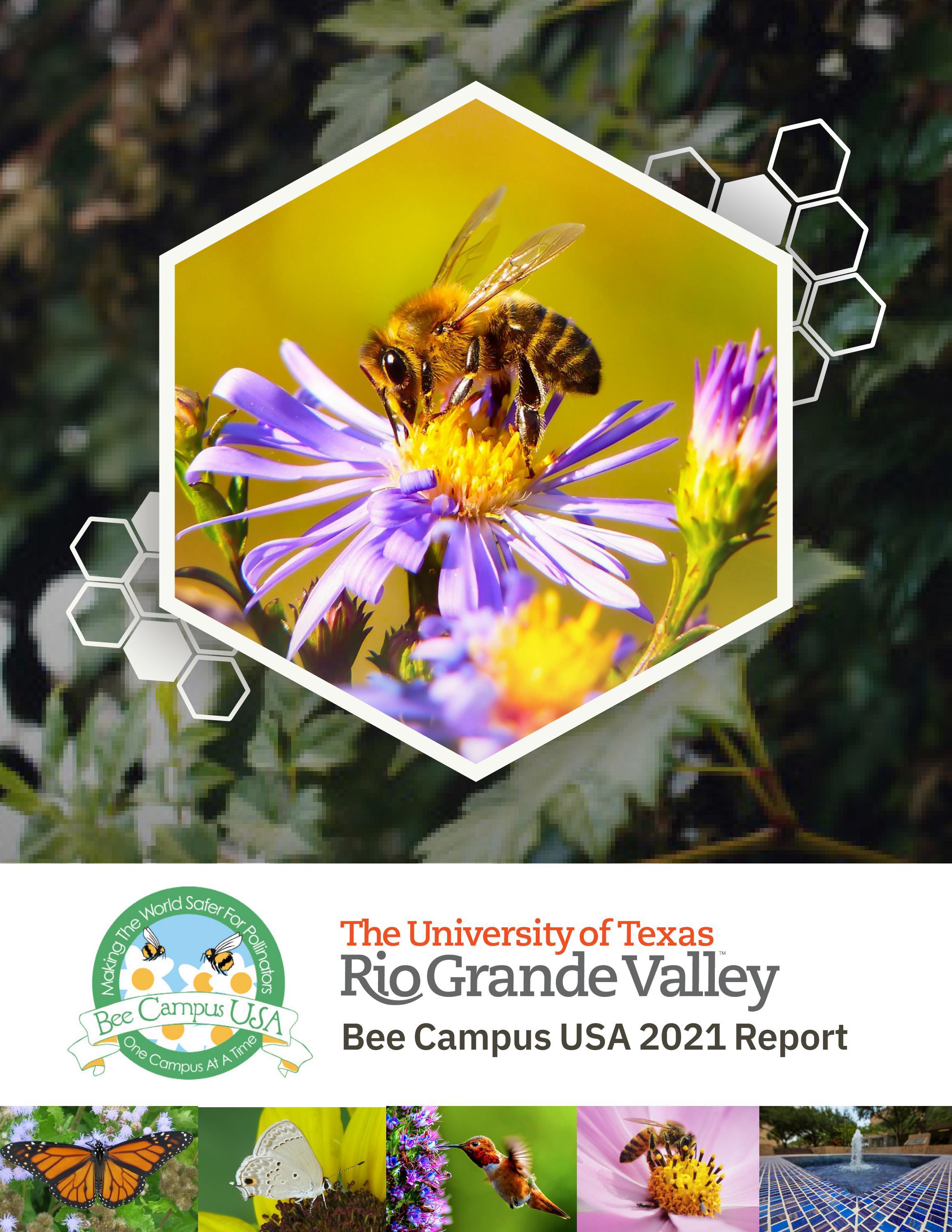 Bee Campus USA 2021 Report by UTRGV Office For Sustainability - Issuu