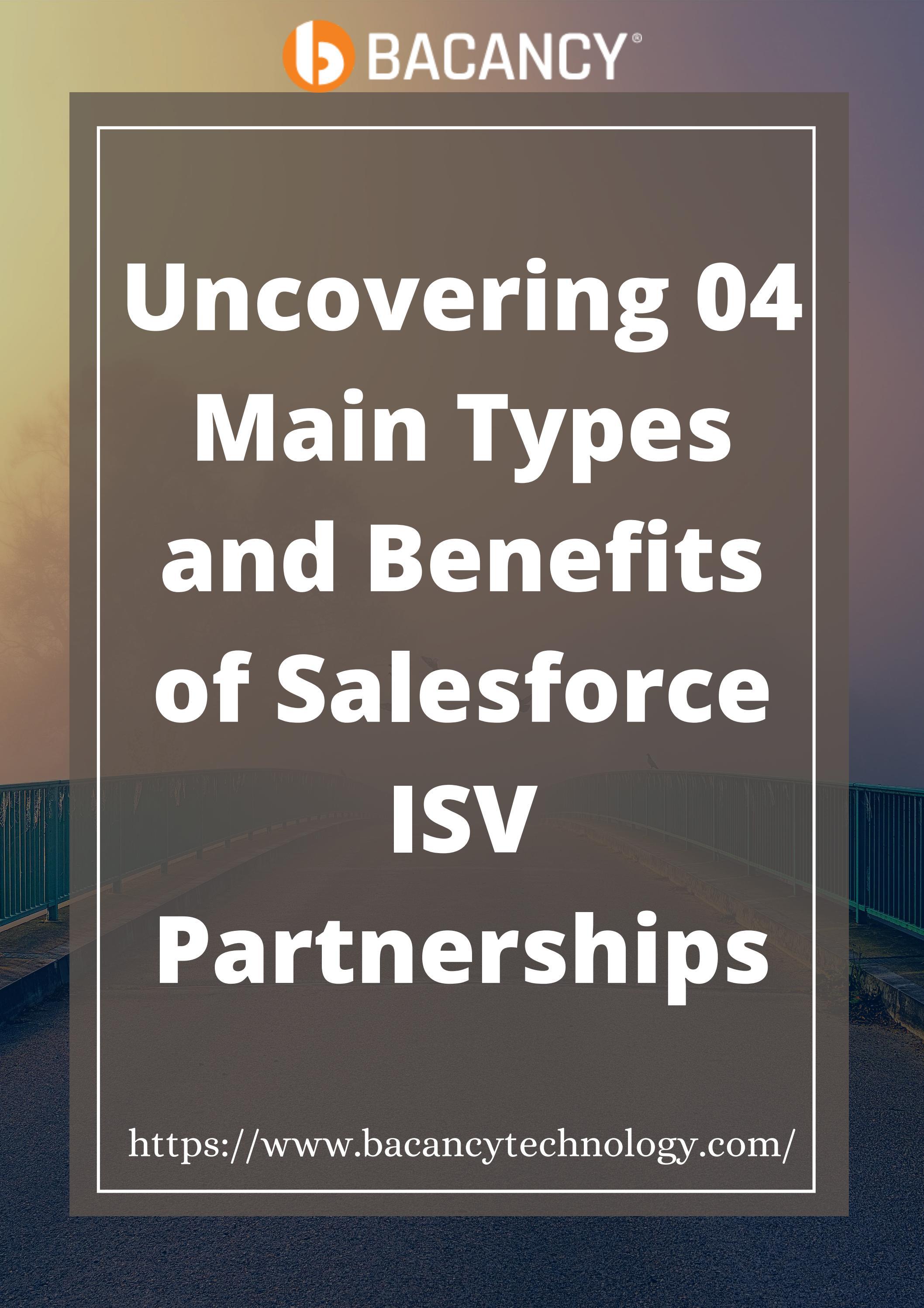 Uncovering 04 Main Types and Benefits of Salesforce ISV Partnerships by ...